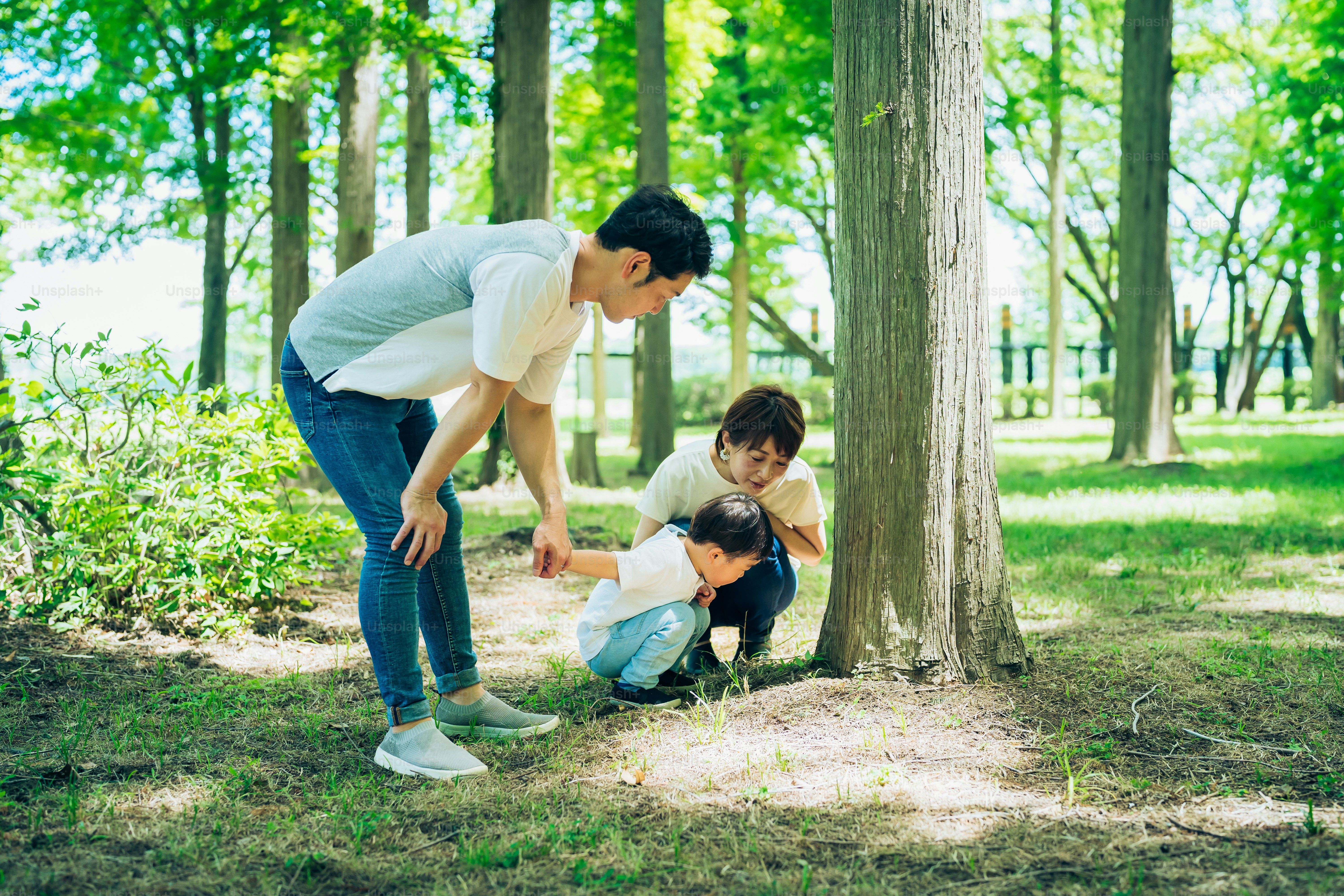 Niño y padres explorando el bosque en un buen día foto – Imagen de ...