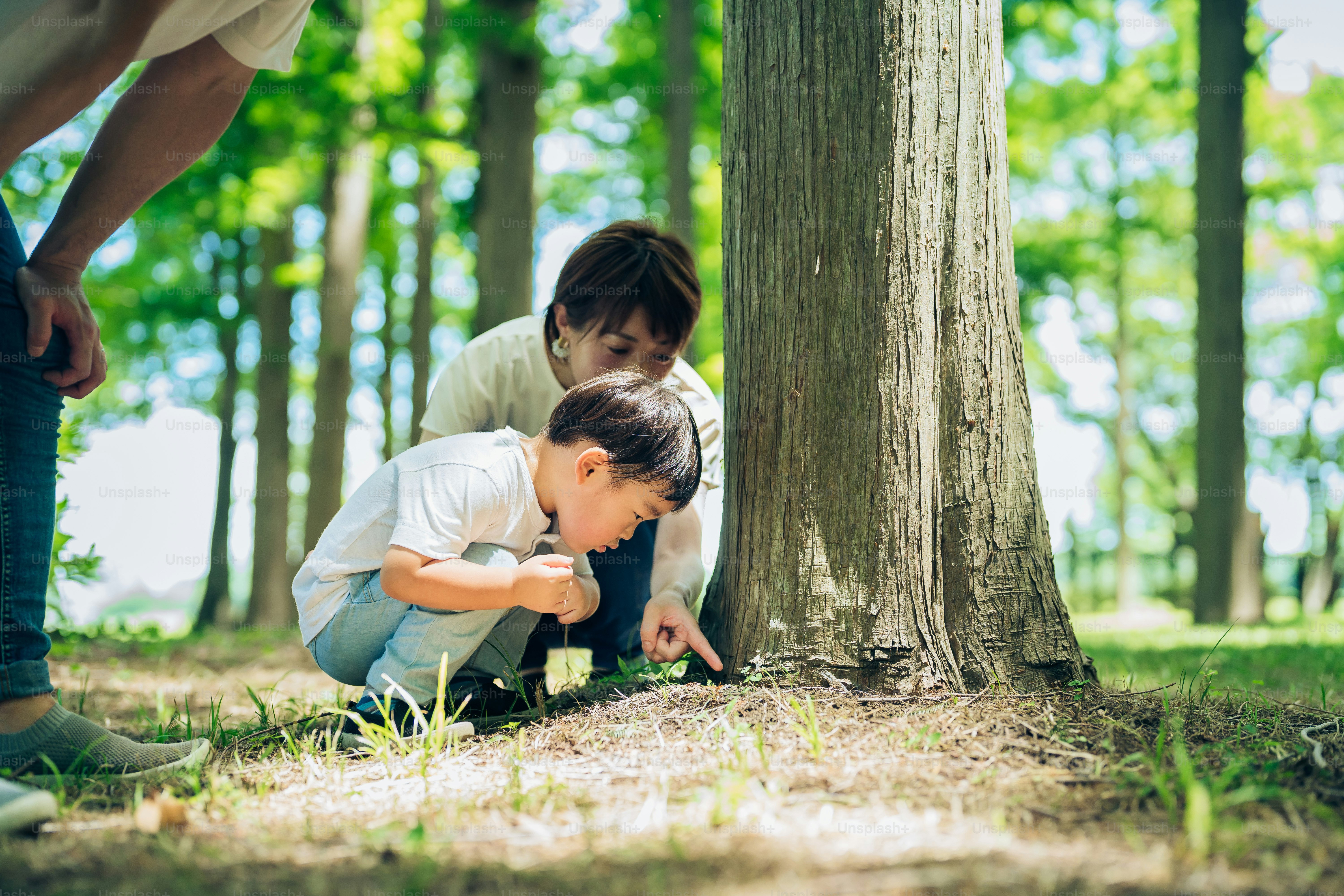 Niño y padres explorando el bosque en un buen día foto – Imagen de ...