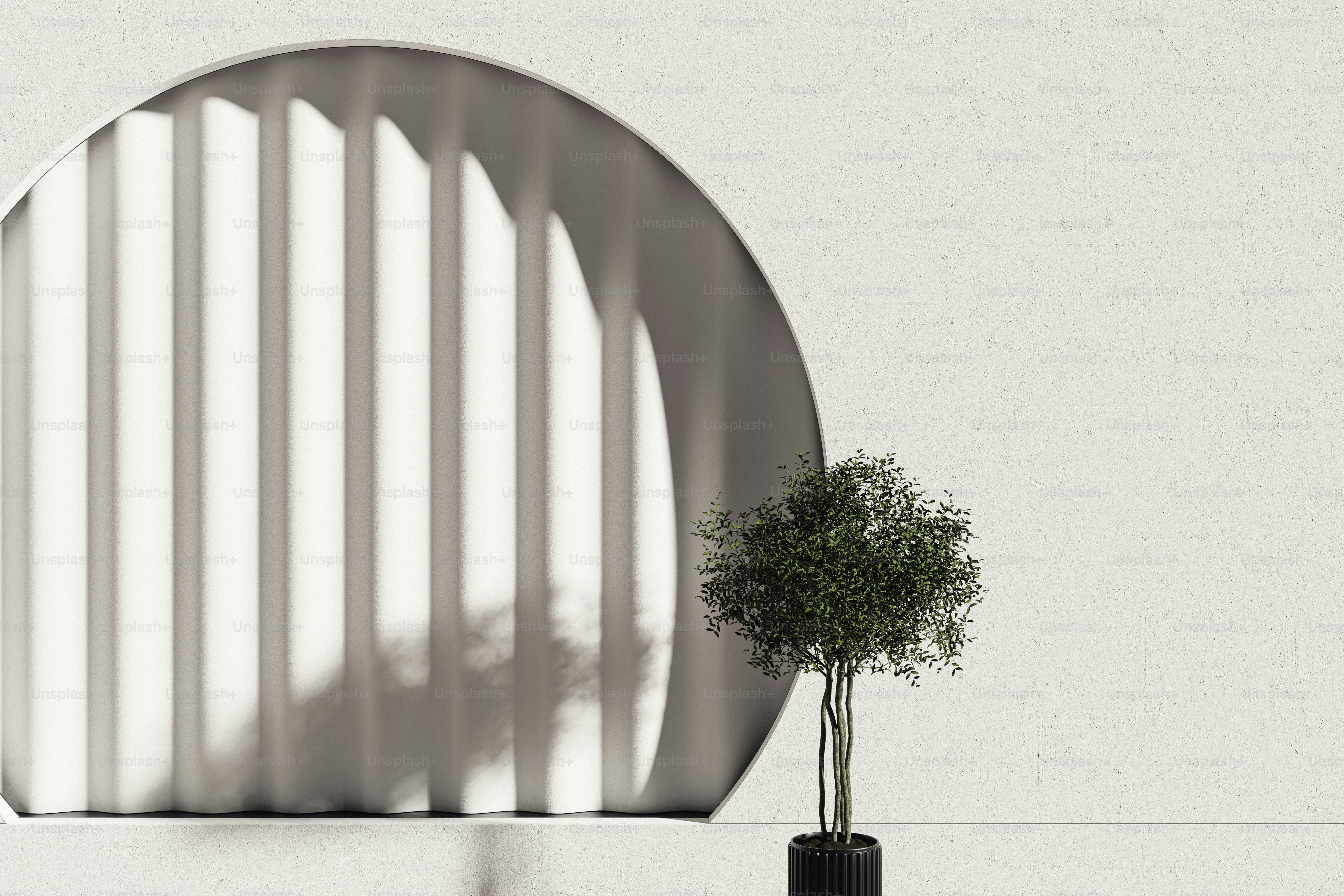 Une plante en pot assise devant un miroir rond photo – Image de ...