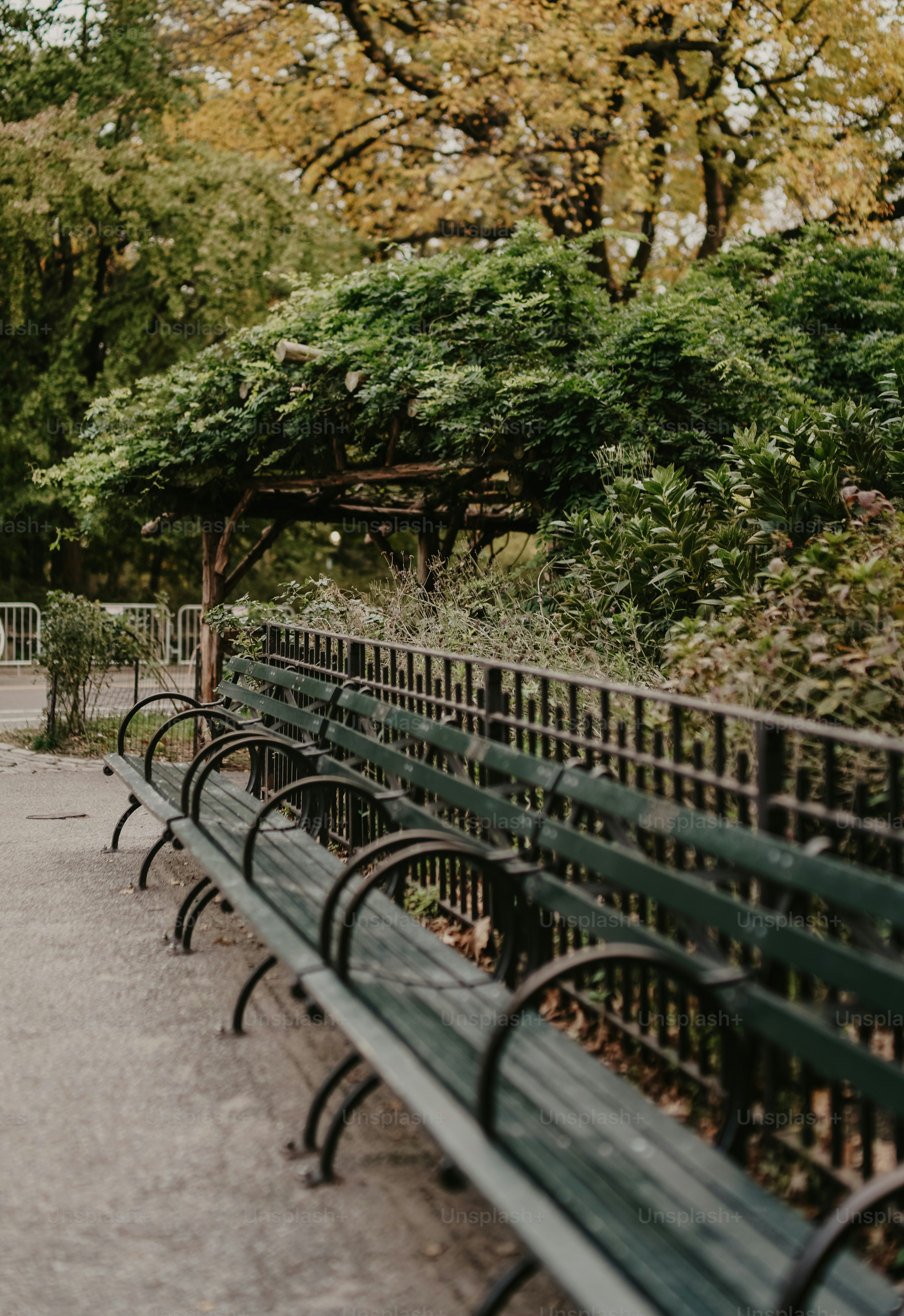 A row of green park benches sitting next to each other photo – New york ...