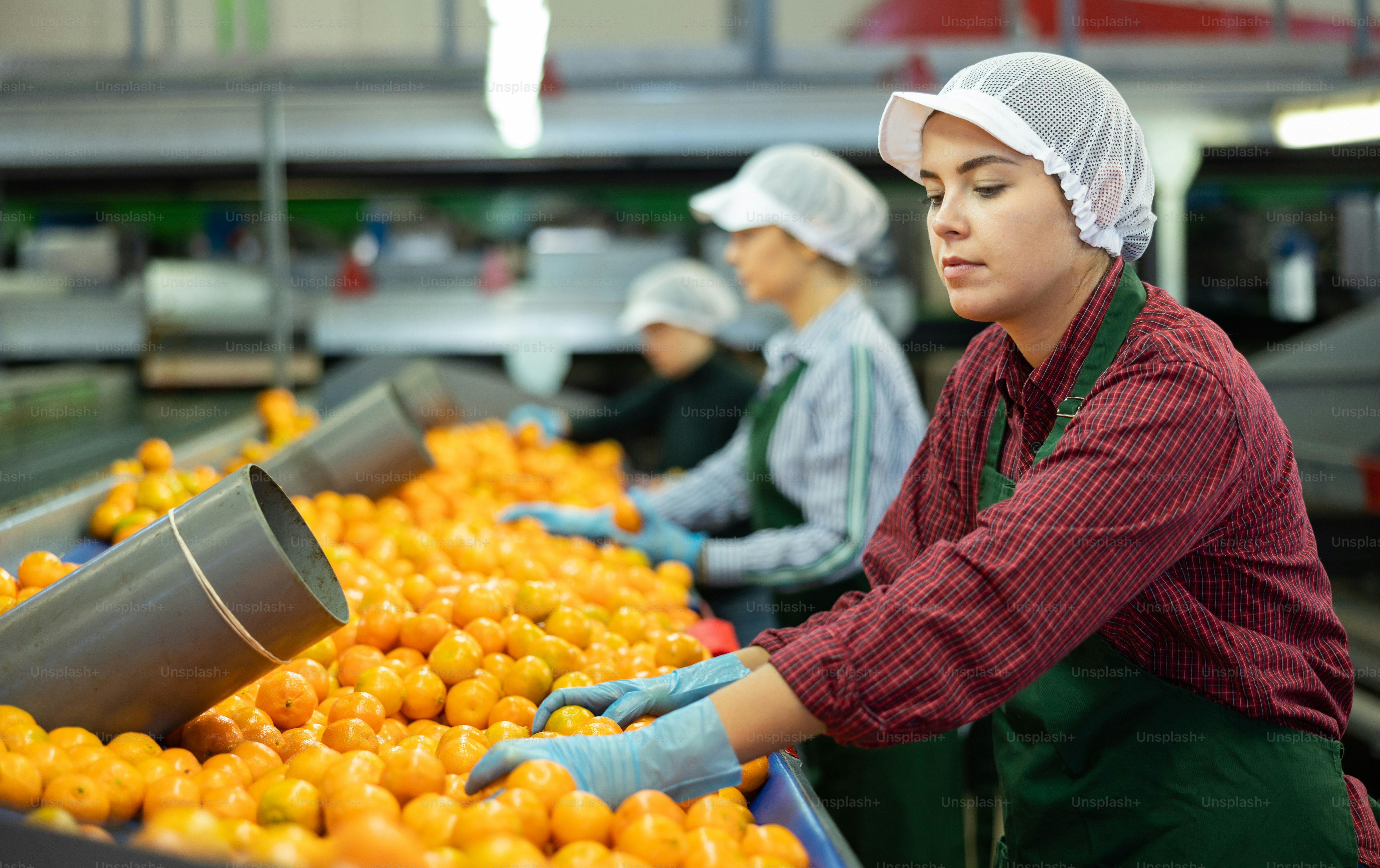 Forced Labour Pictures | Download Free Images on Unsplash