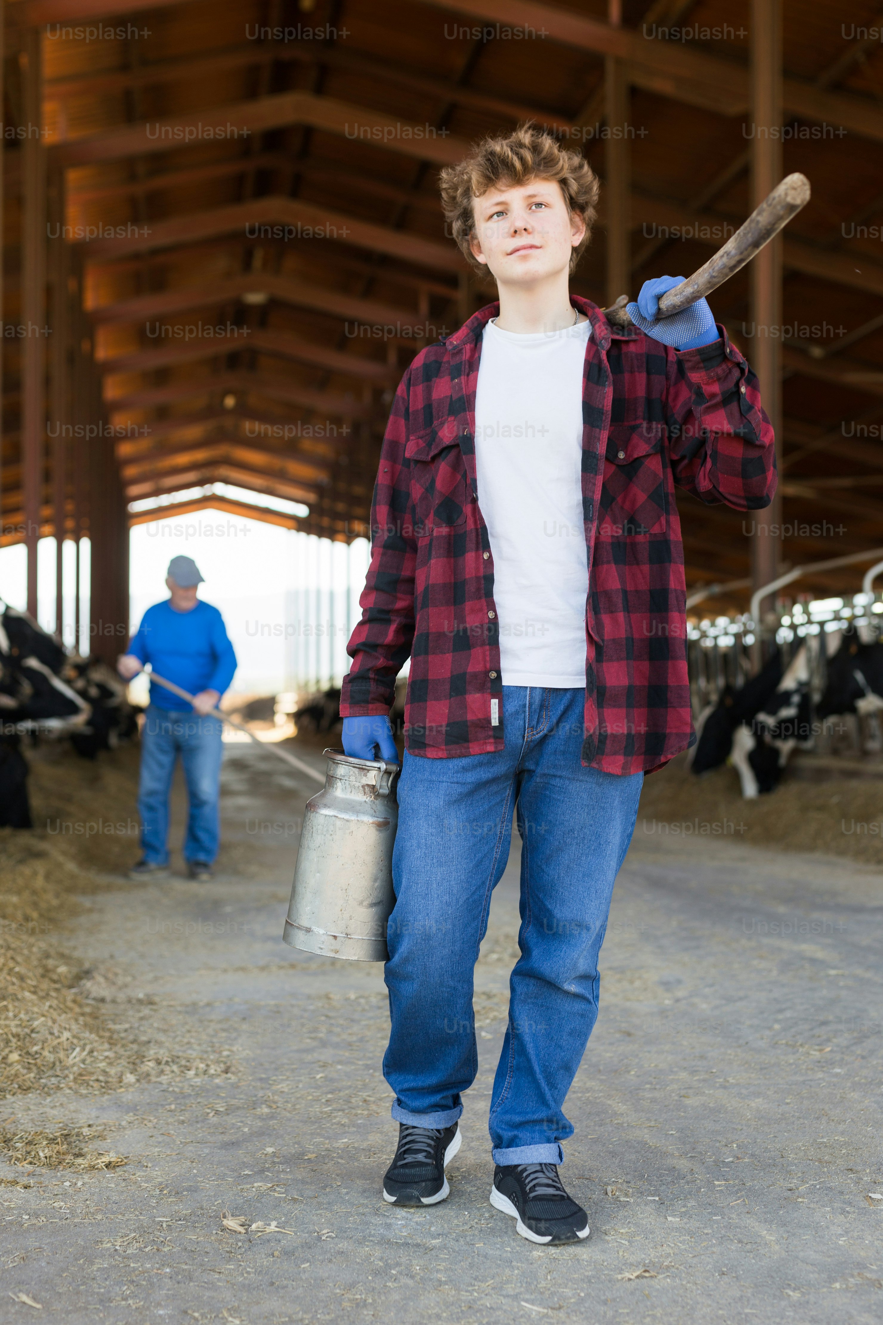 Confident teenage farm worker walking through cowshed after work on ...
