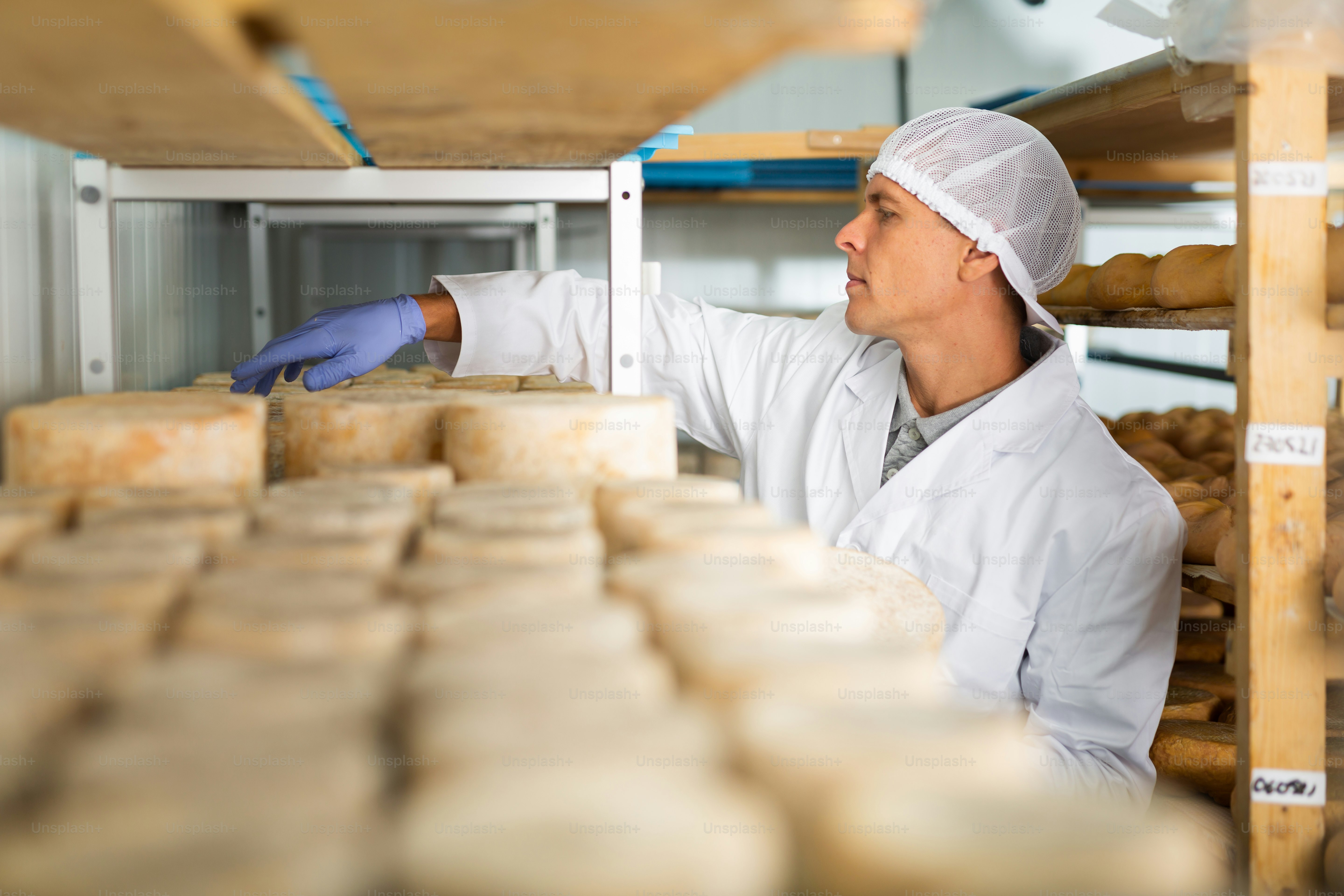 Cheese maker brushing mould off the hard cheeses by hand. Numbers on ...