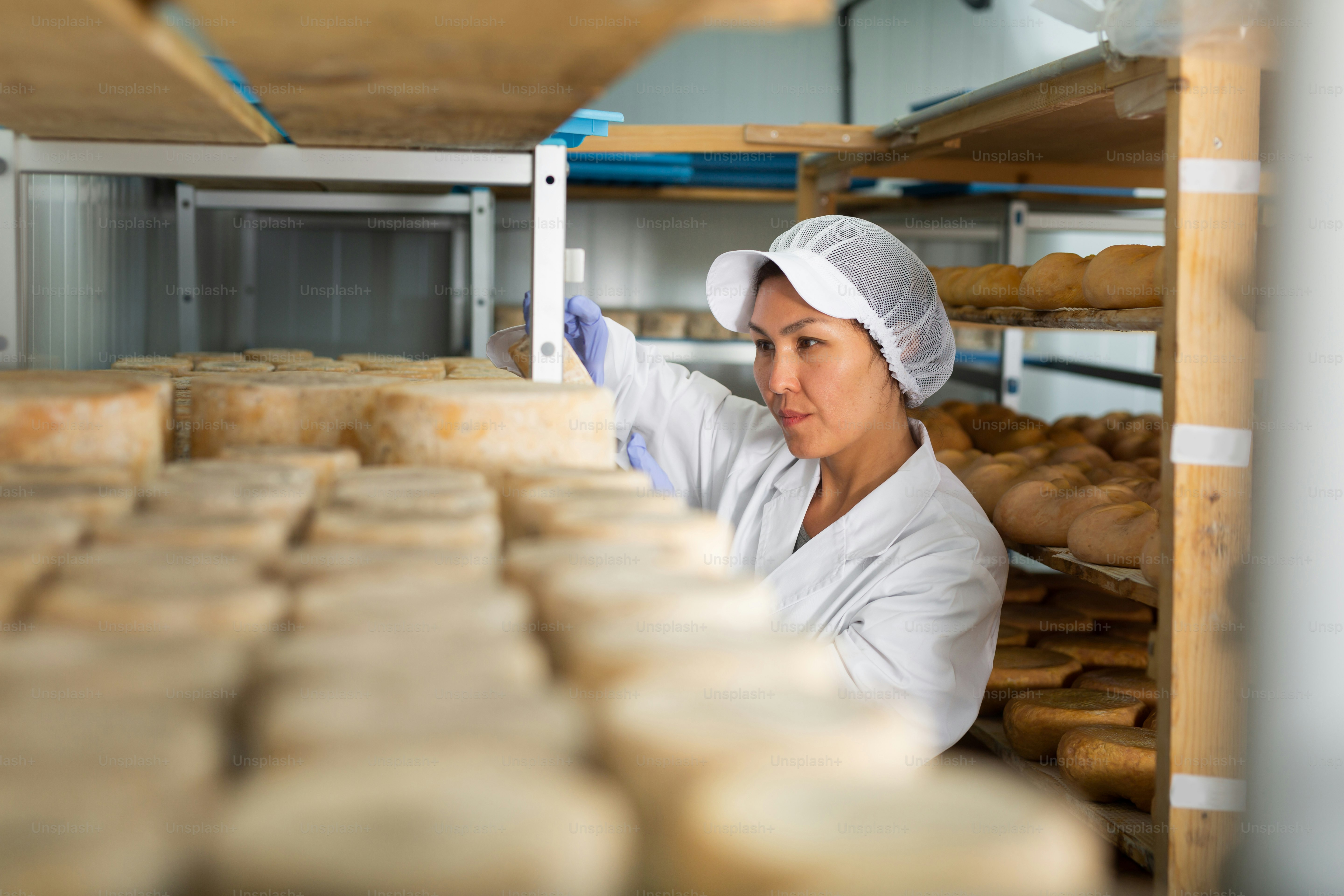 Focused Asian woman engaged in cheesemaking dressed in white uniform ...