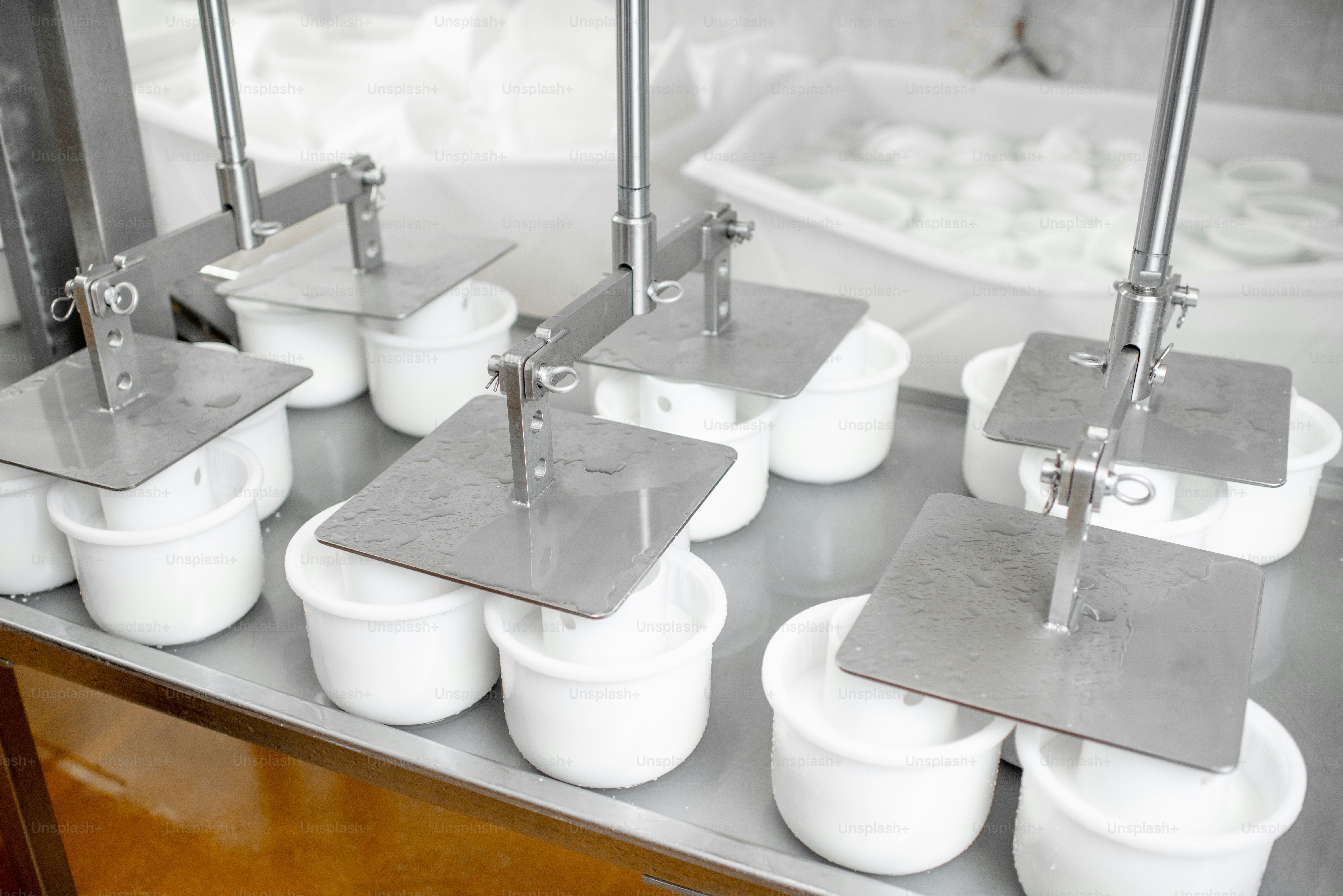 Pressing cheese in the plastic molds with professional press machine at ...