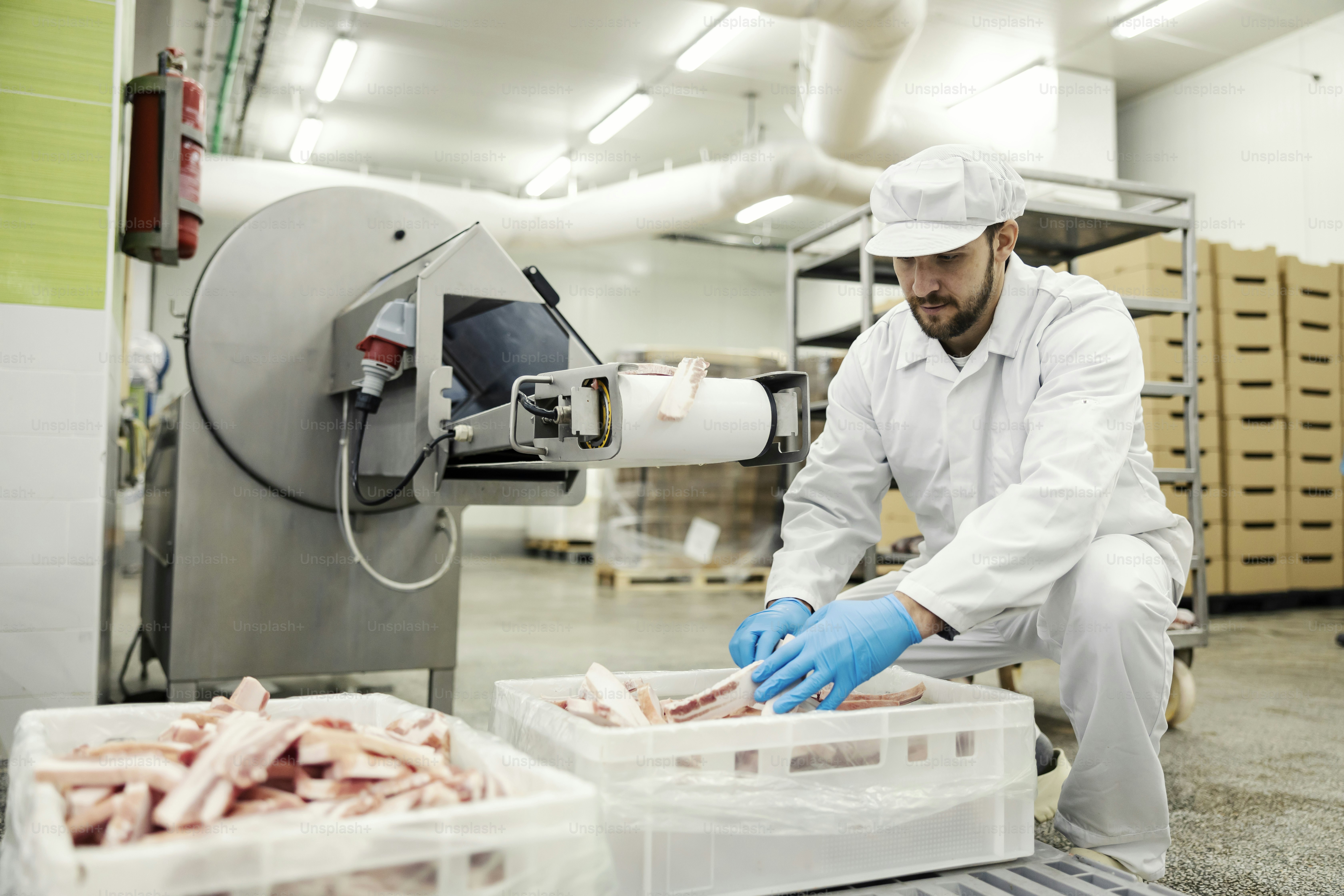A food factory worker works with bacon and counts it while crouching ...