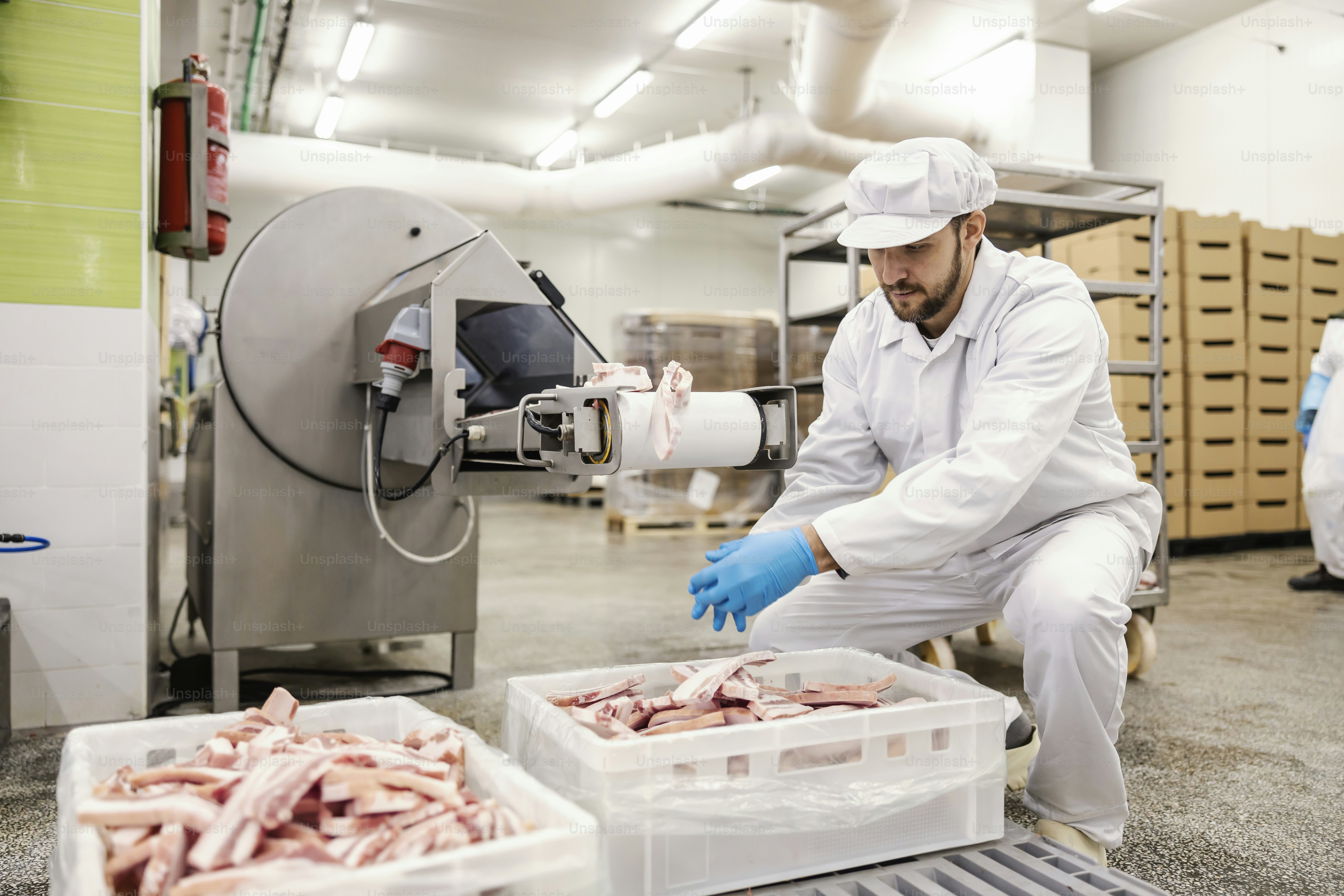 A meat factory worker is crouching next to a meat processing machine ...
