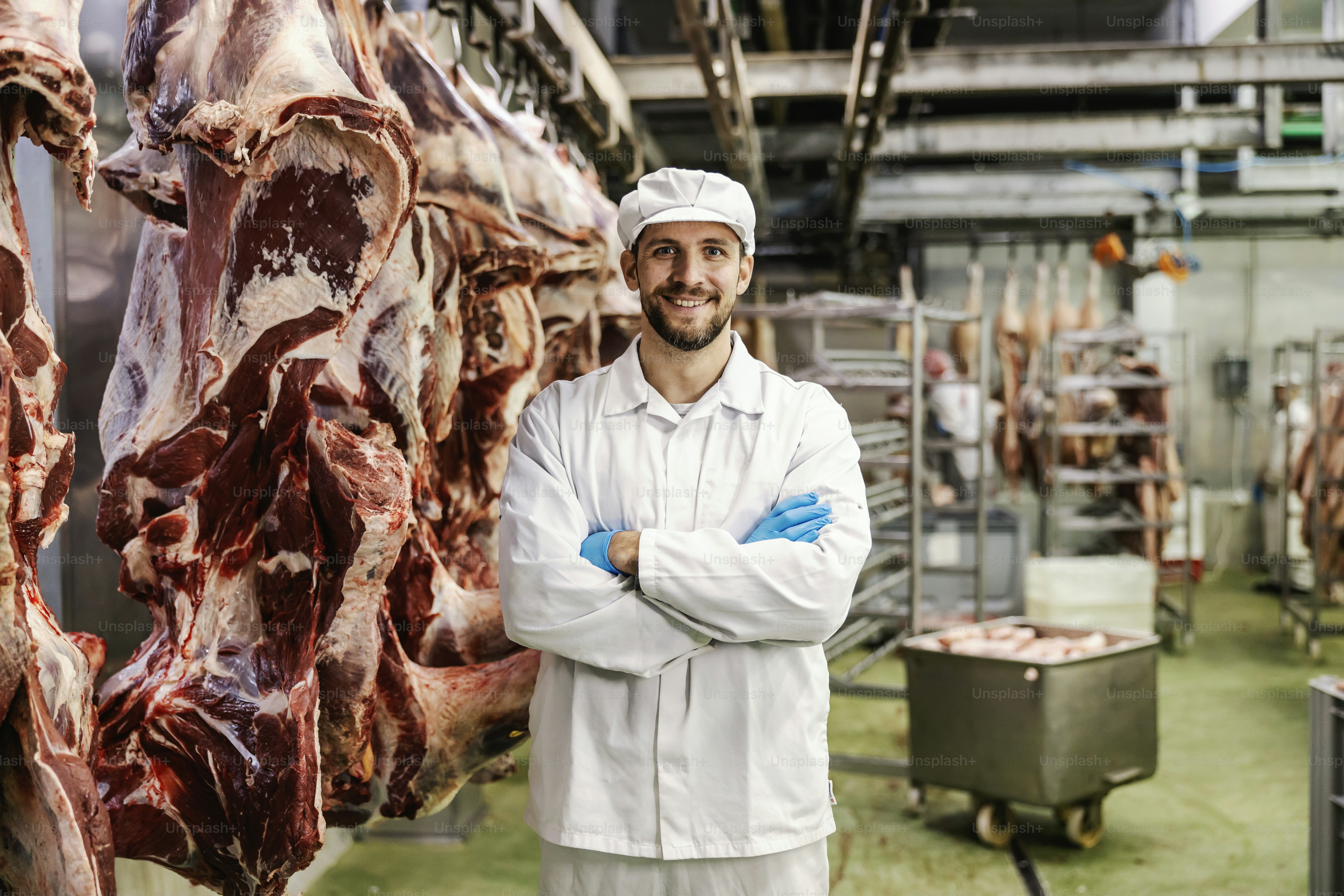 A butcher is standing by the big pieces of meat in slaughter house and ...