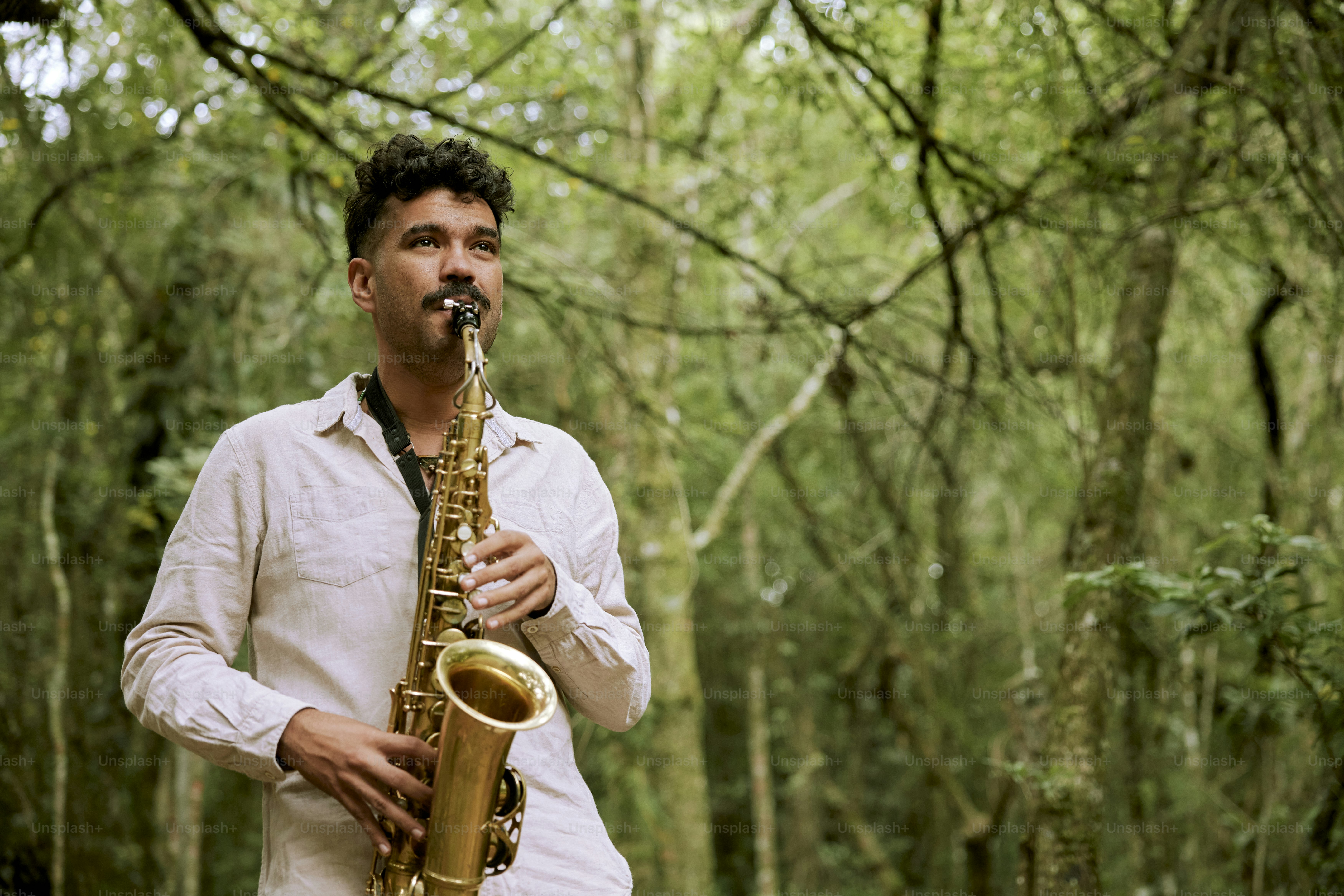 A man playing a saxophone in a forest photo – Forest Image on Unsplash