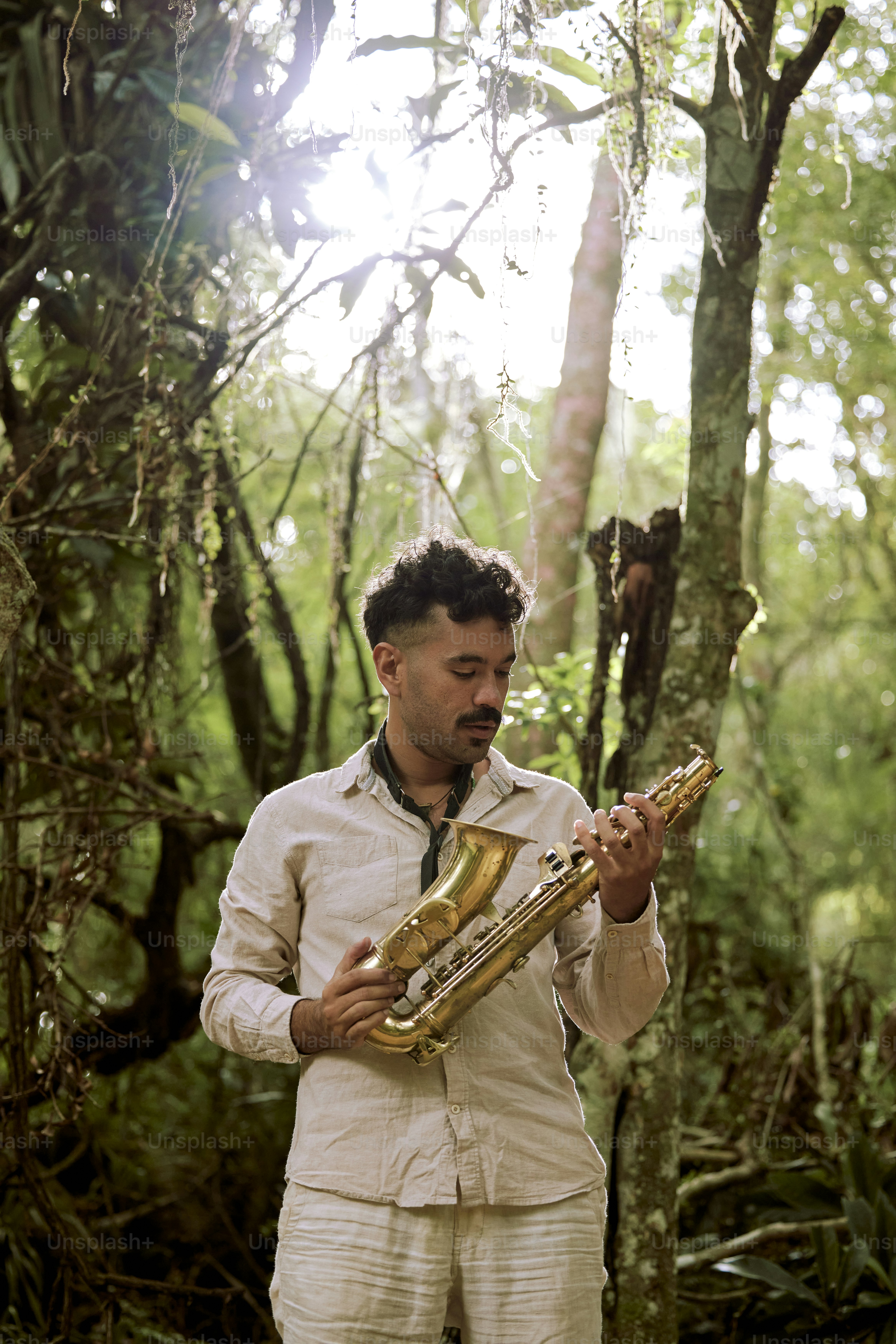 A man playing a saxophone in a forest photo – Music Image on Unsplash