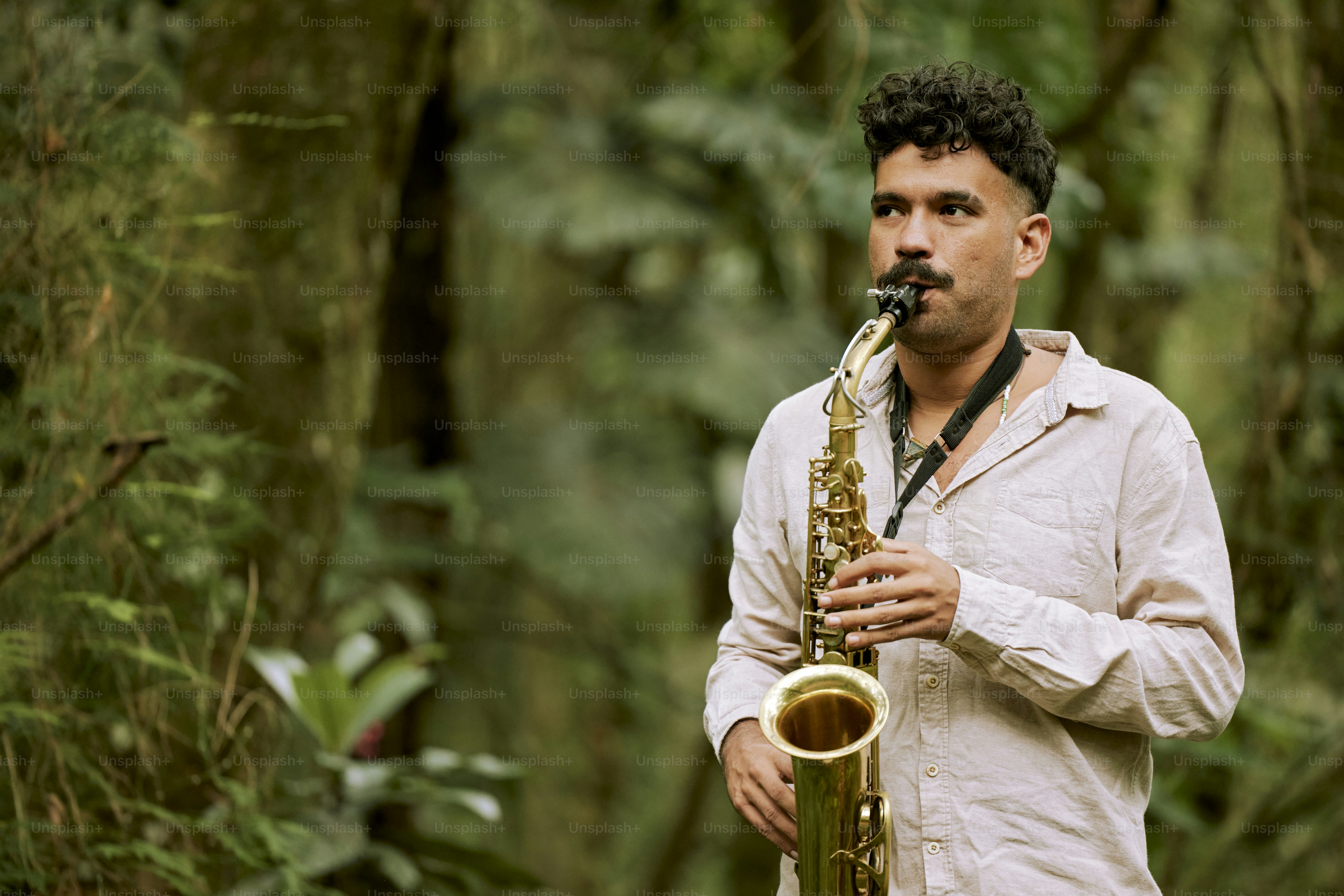 A man playing a saxophone in a forest photo – Musician Image on Unsplash