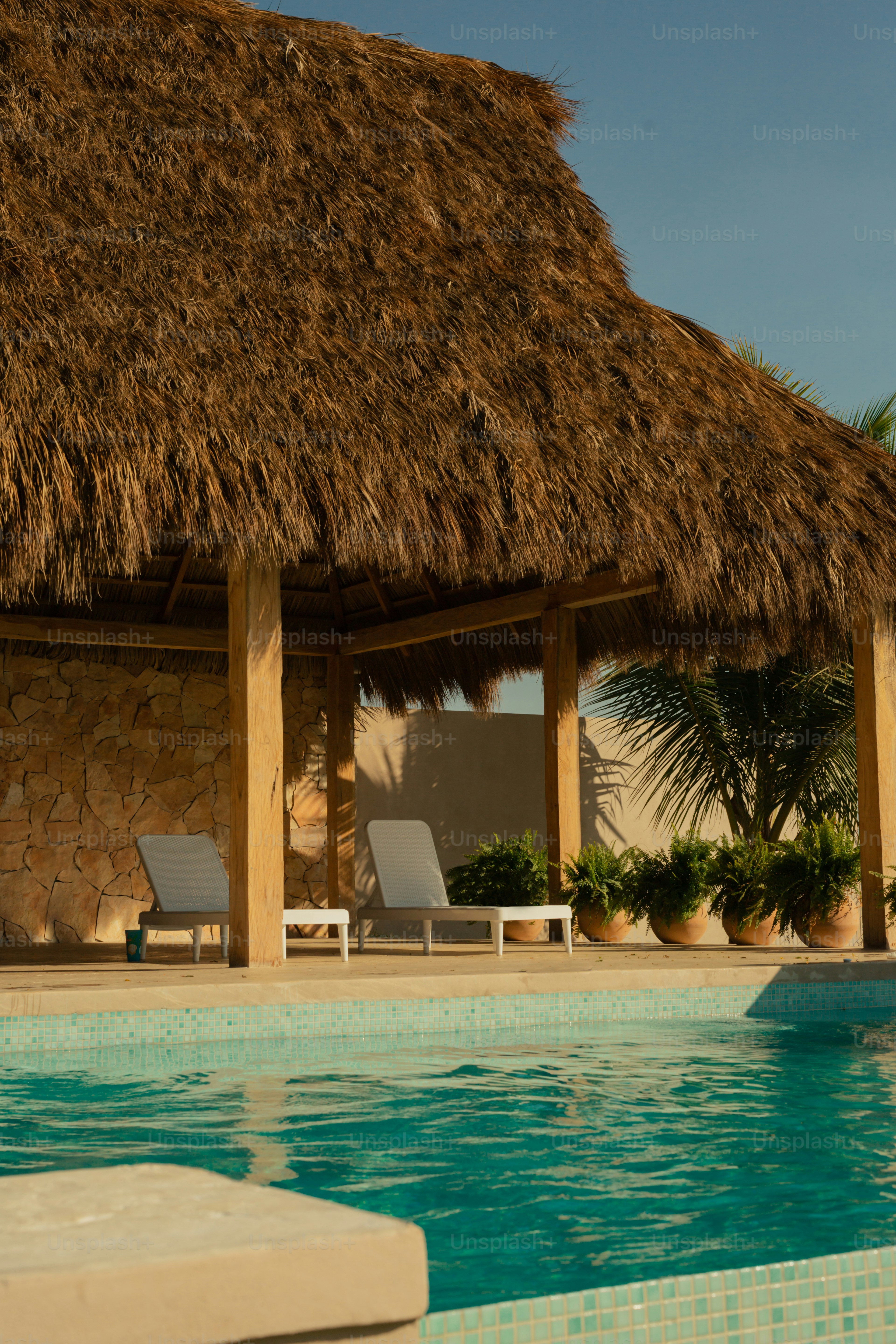 A pool with a thatched roof and palm trees photo – Villa Image on Unsplash