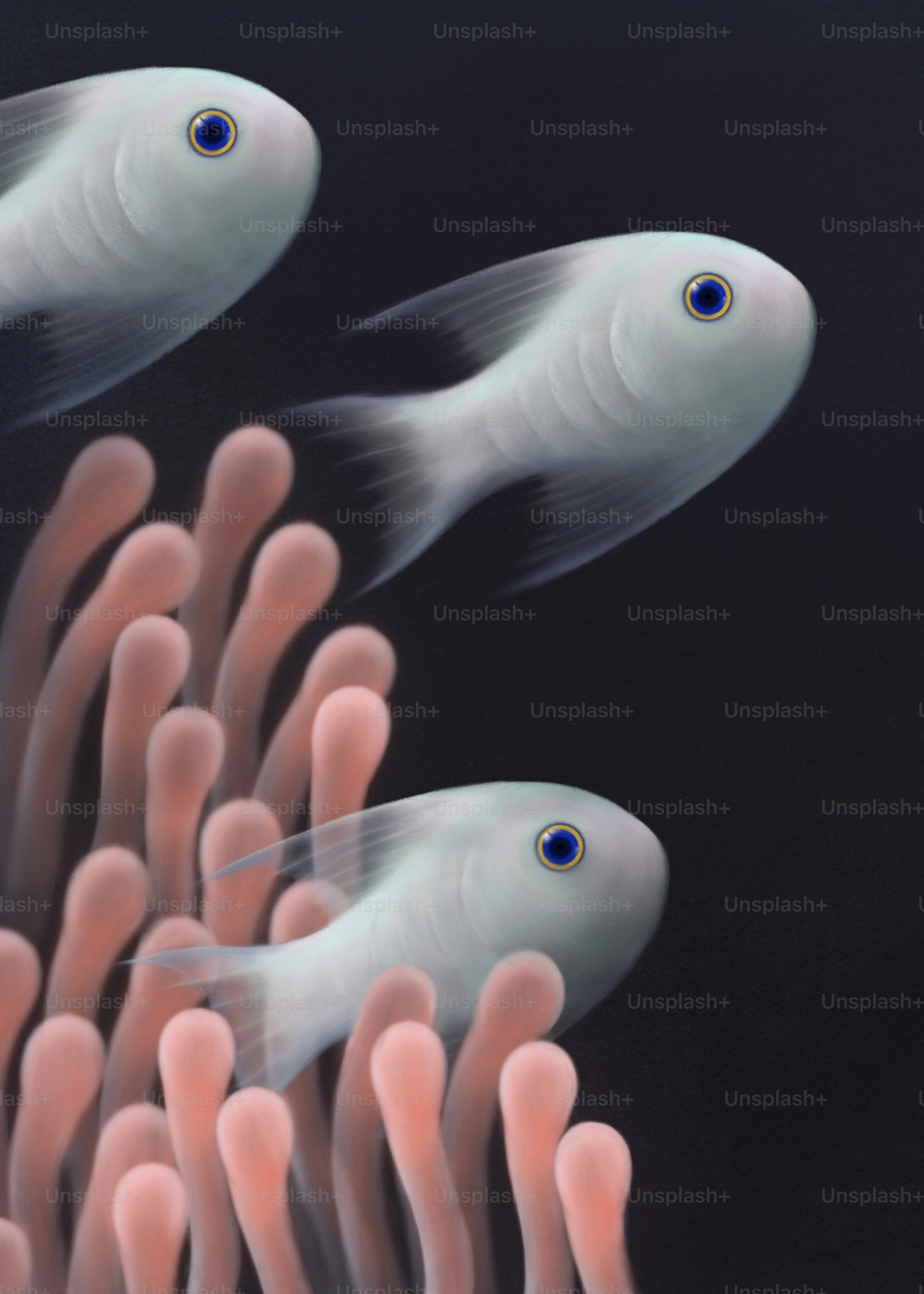 Life in the deep of water, group of fishes with pink coral reef ...