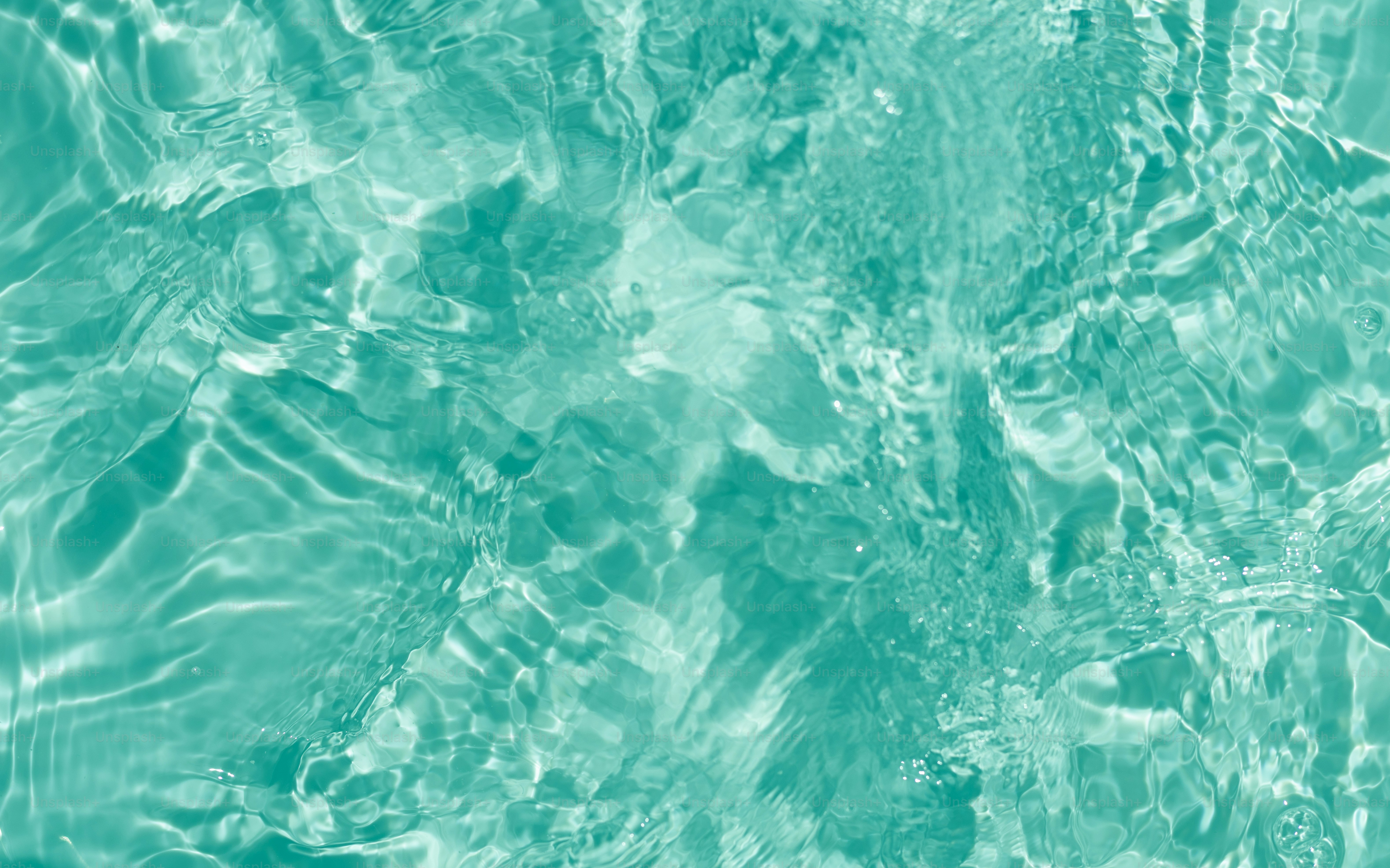 500+ Pool Water Pictures [HD] | Download Free Images on Unsplash