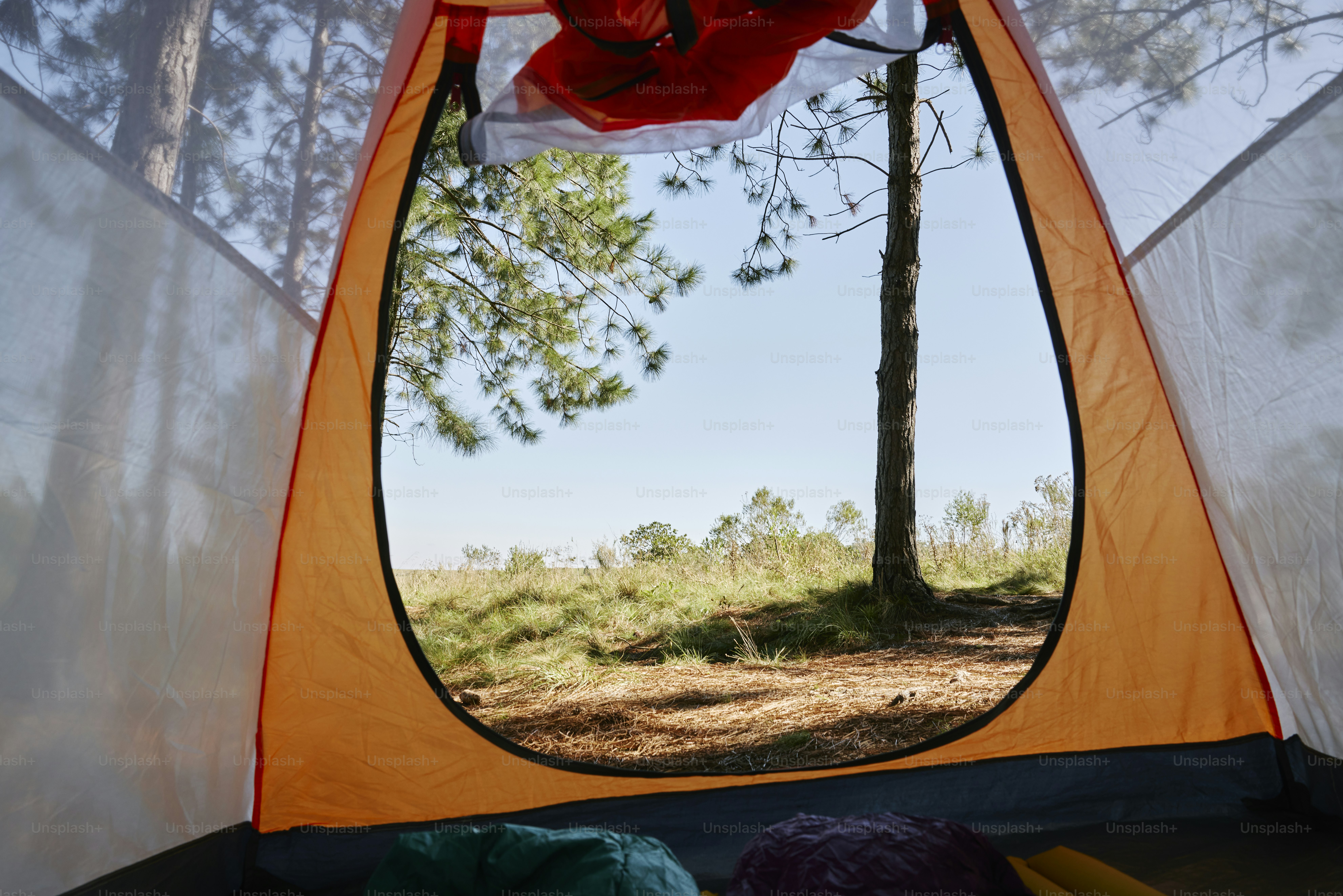 A tent with a view of a forest through the window photo – Tent Image on ...