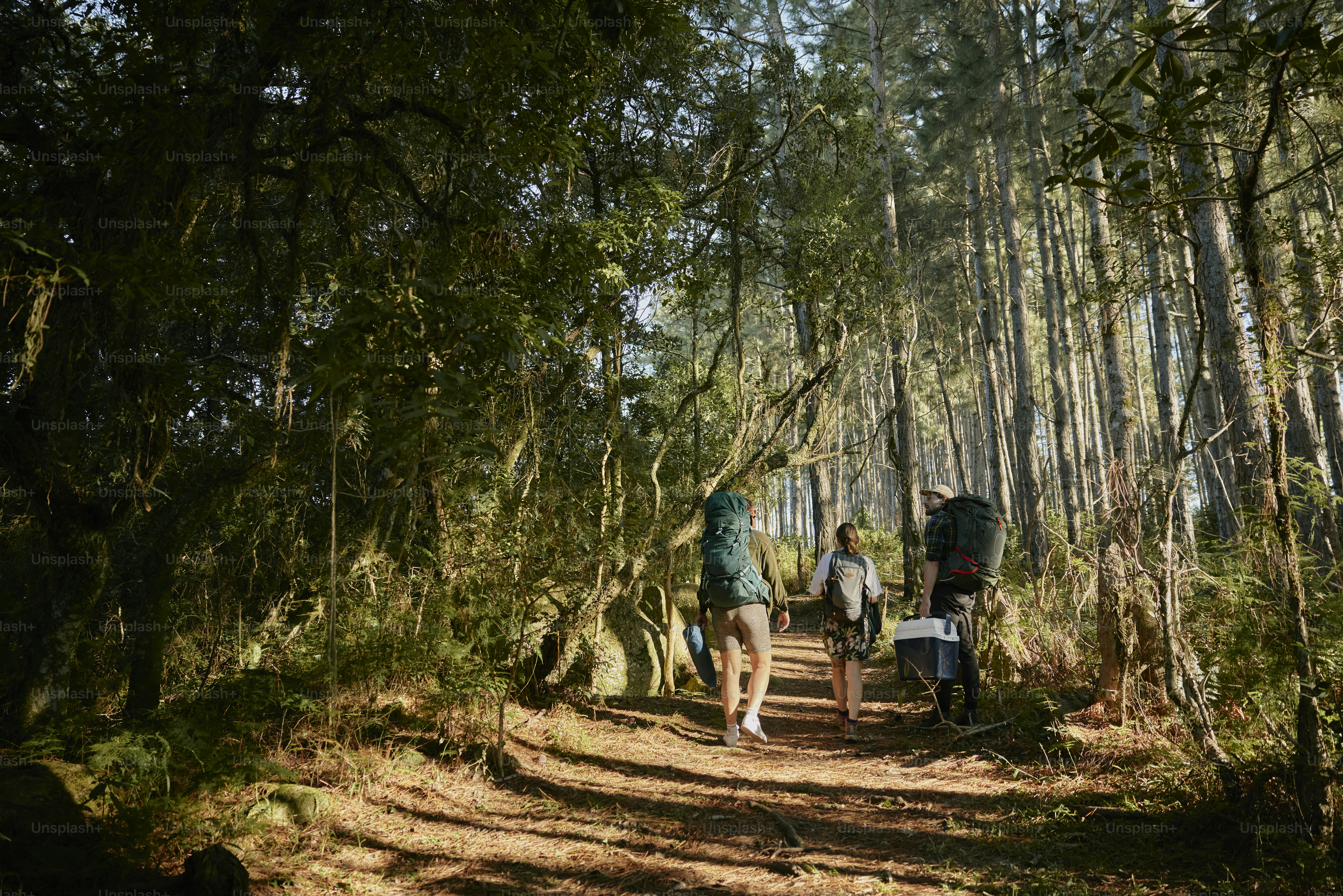 Exploring Pictures | Download Free Images on Unsplash