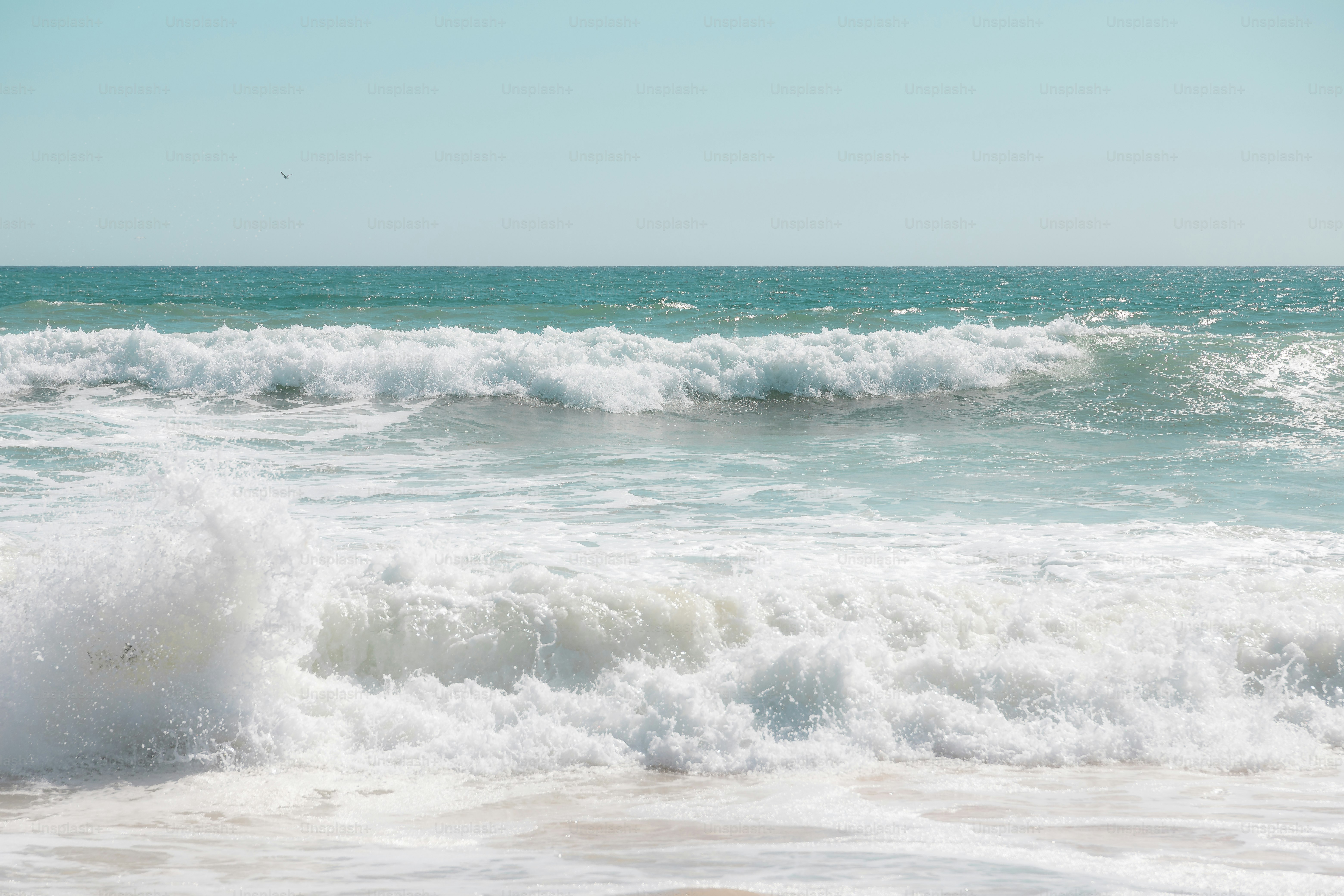 Summer Sun Pictures | Download Free Images on Unsplash