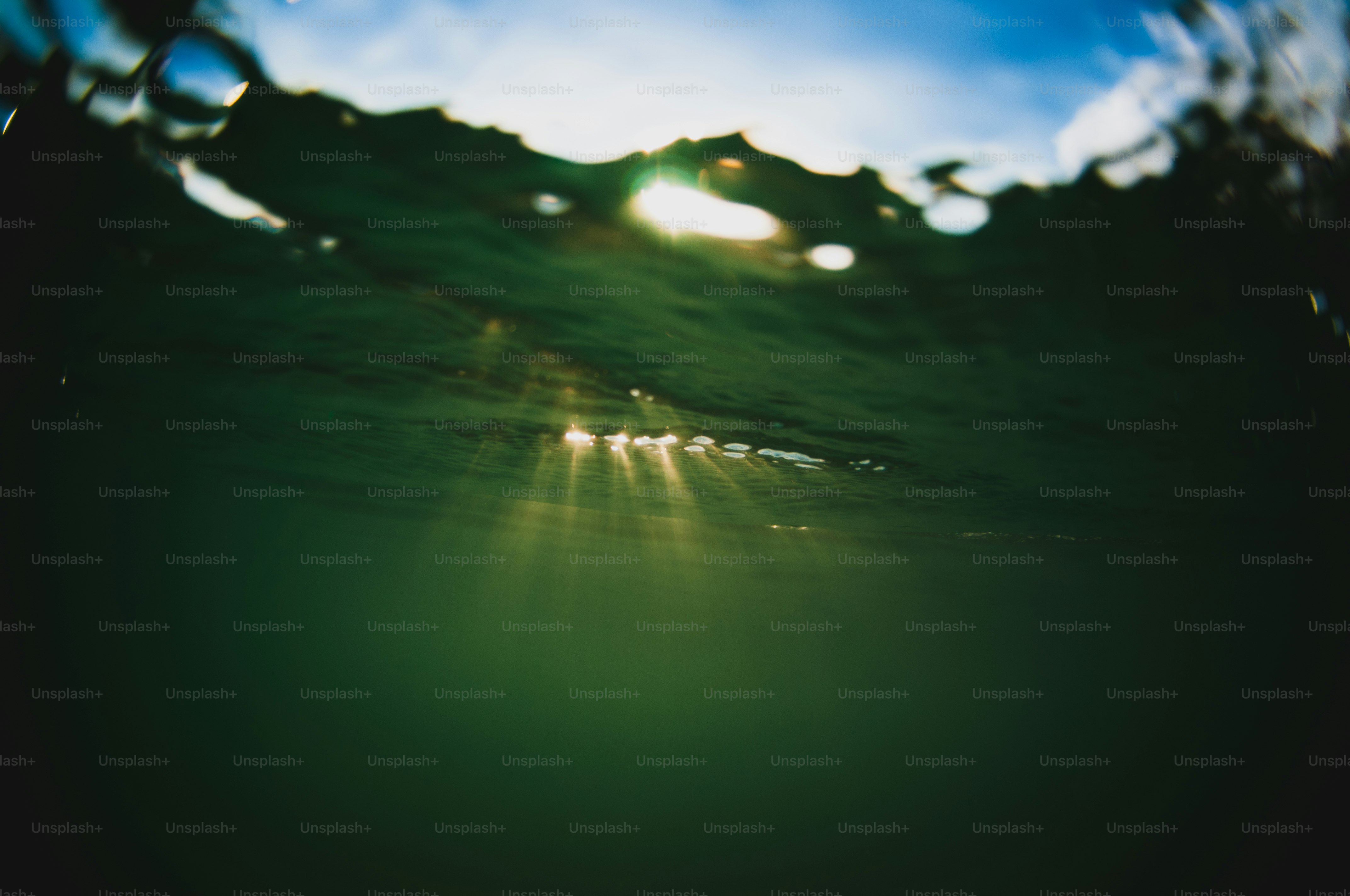 Foto El sol brillando a través del agua en un día soleado – Brillar ...