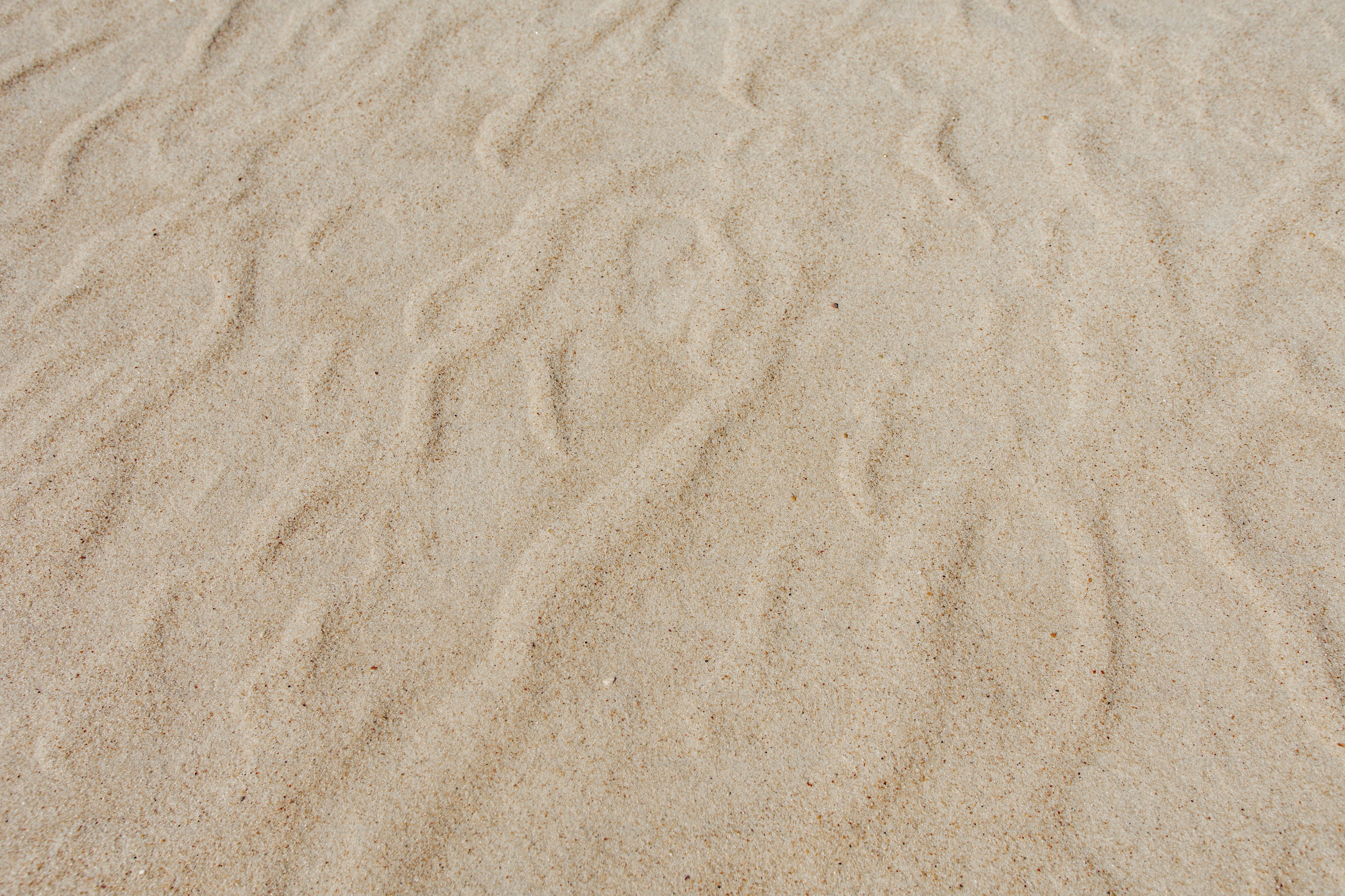 A sandy beach with a few footprints in the sand photo – Beige images ...