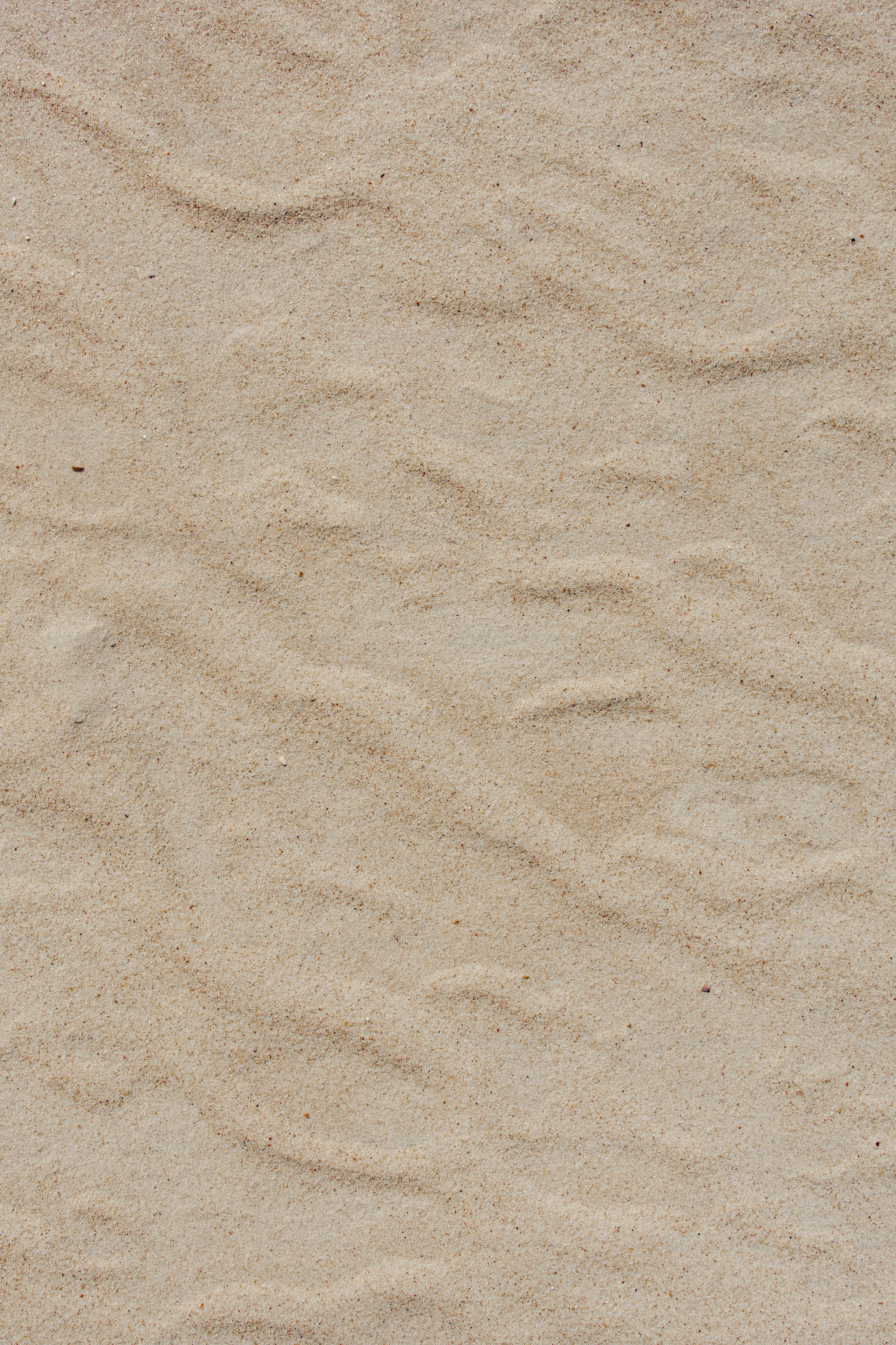 A sandy beach with a few footprints in the sand photo – Beige images ...