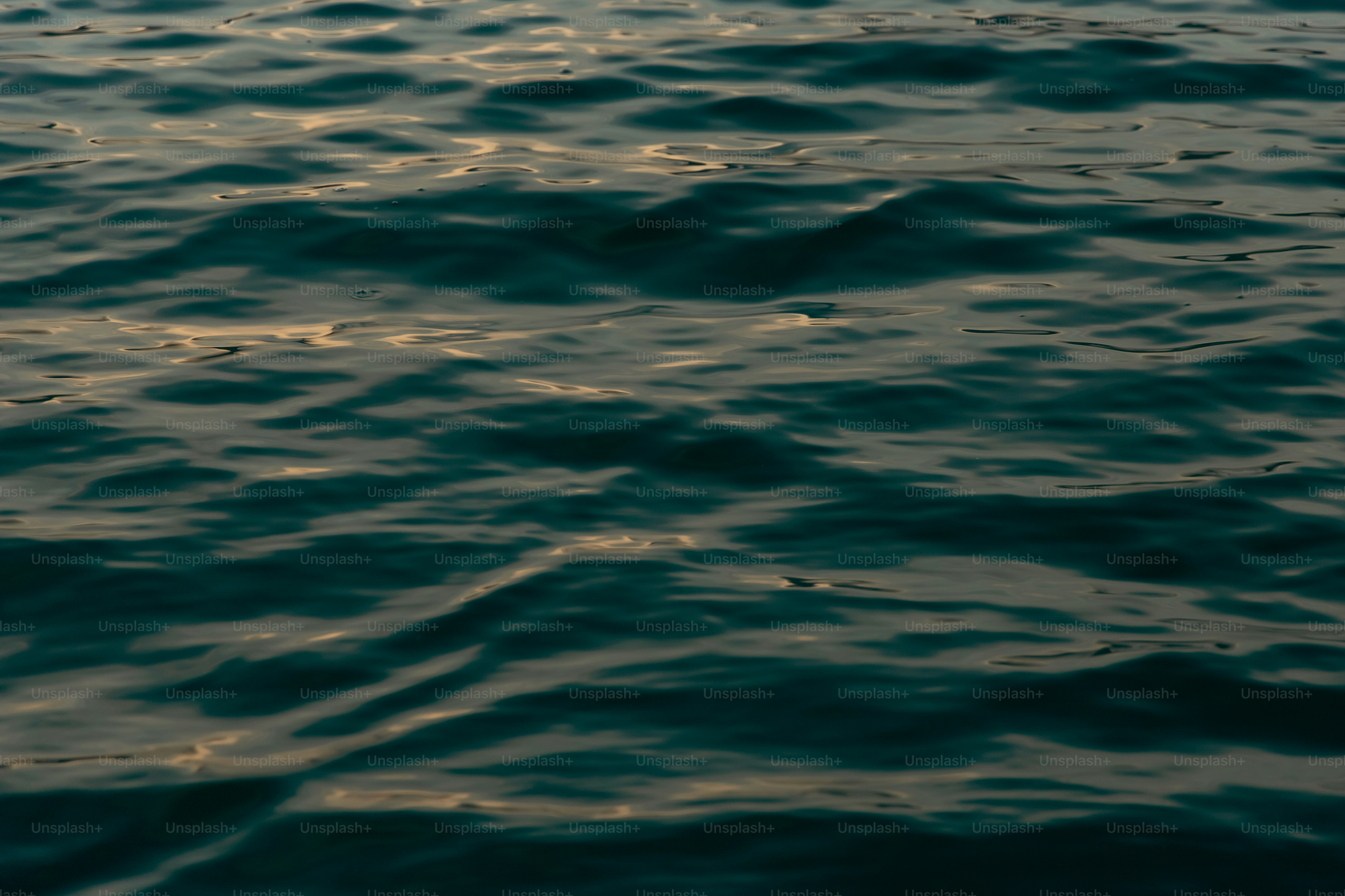 Subsea Pictures | Download Free Images on Unsplash