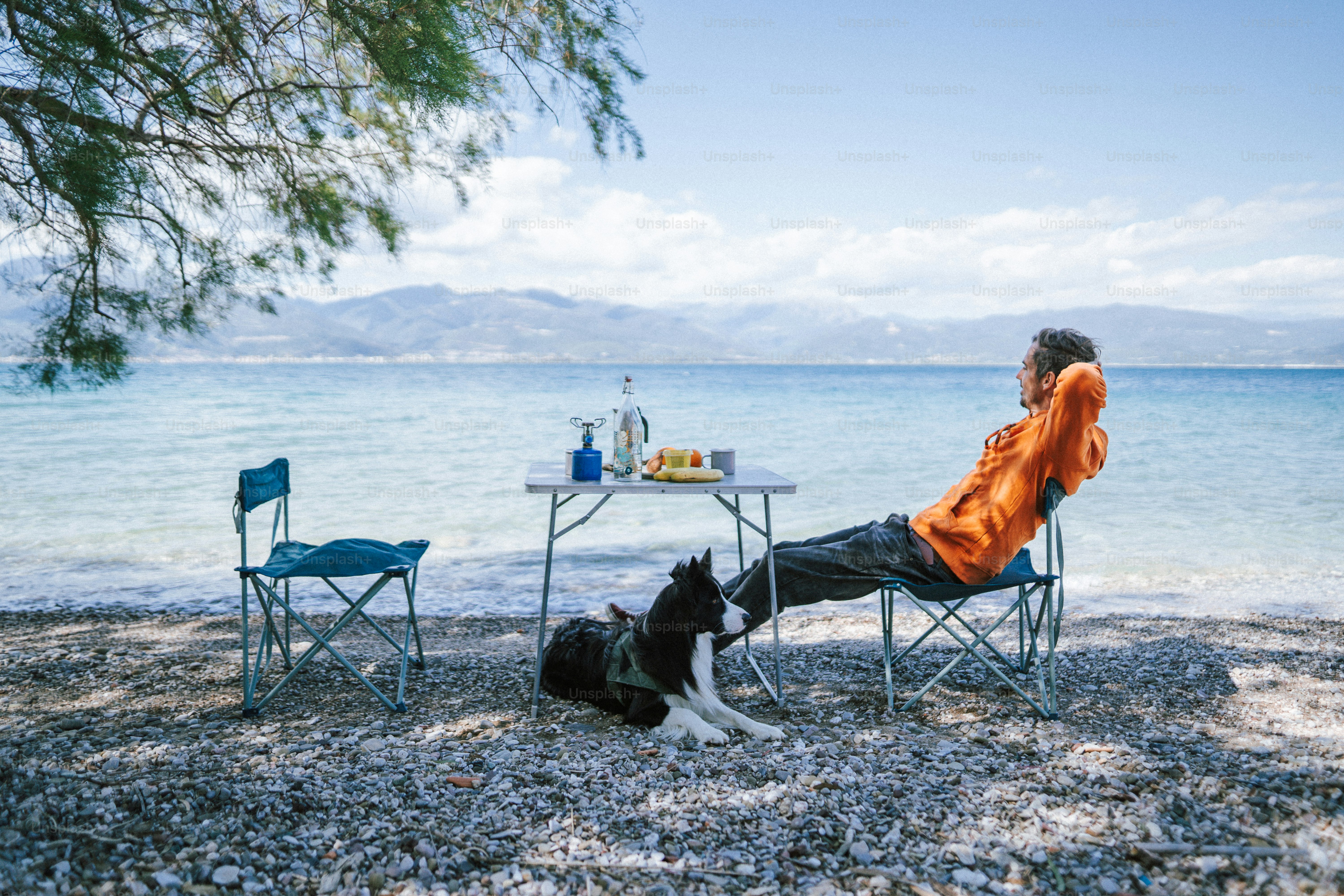 Eine Person, die mit einem Hund an einem Tisch sitzt Foto – Bild zum ...