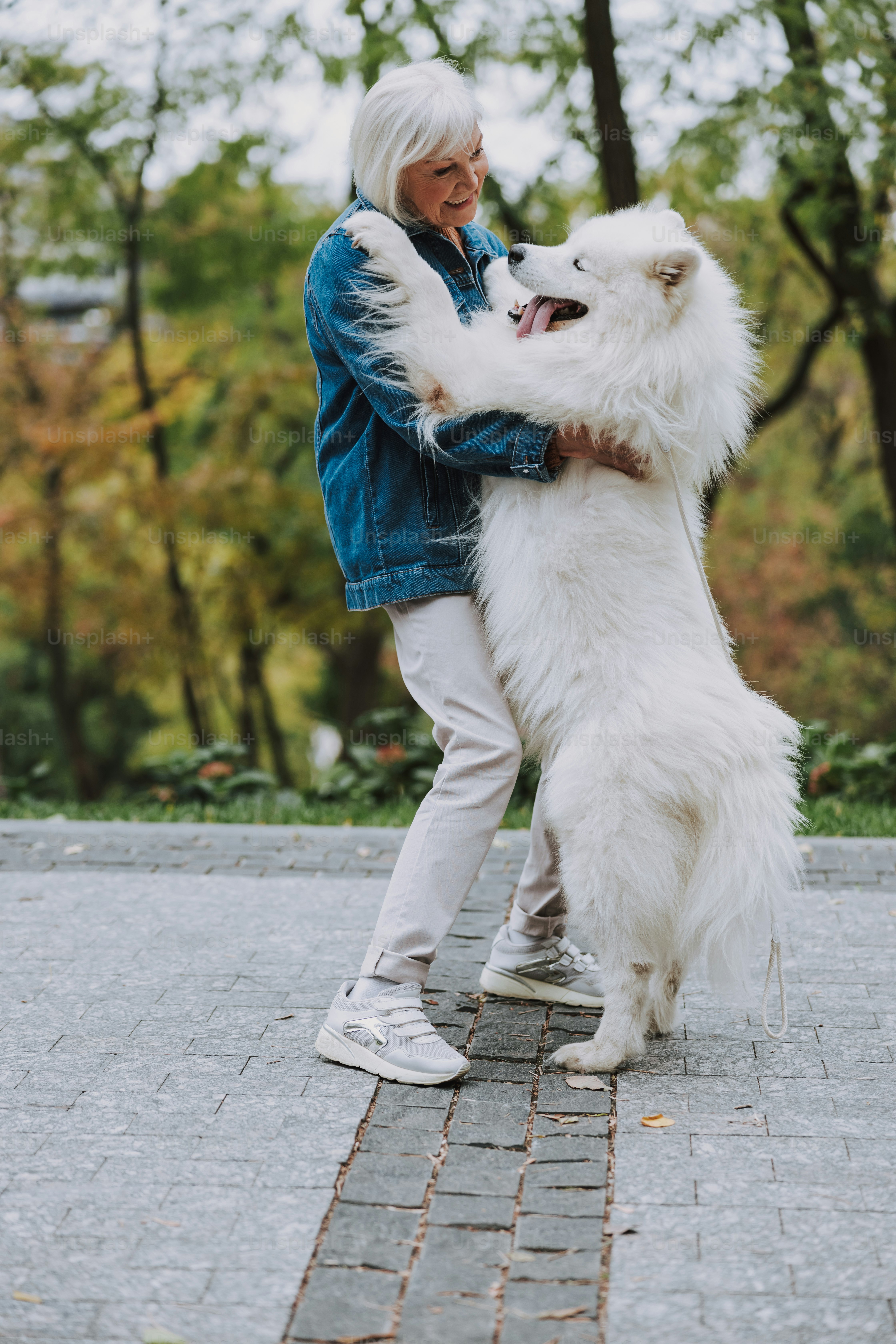 Charmante vieille grand-mère étreignant son beau animal de compagnie ...