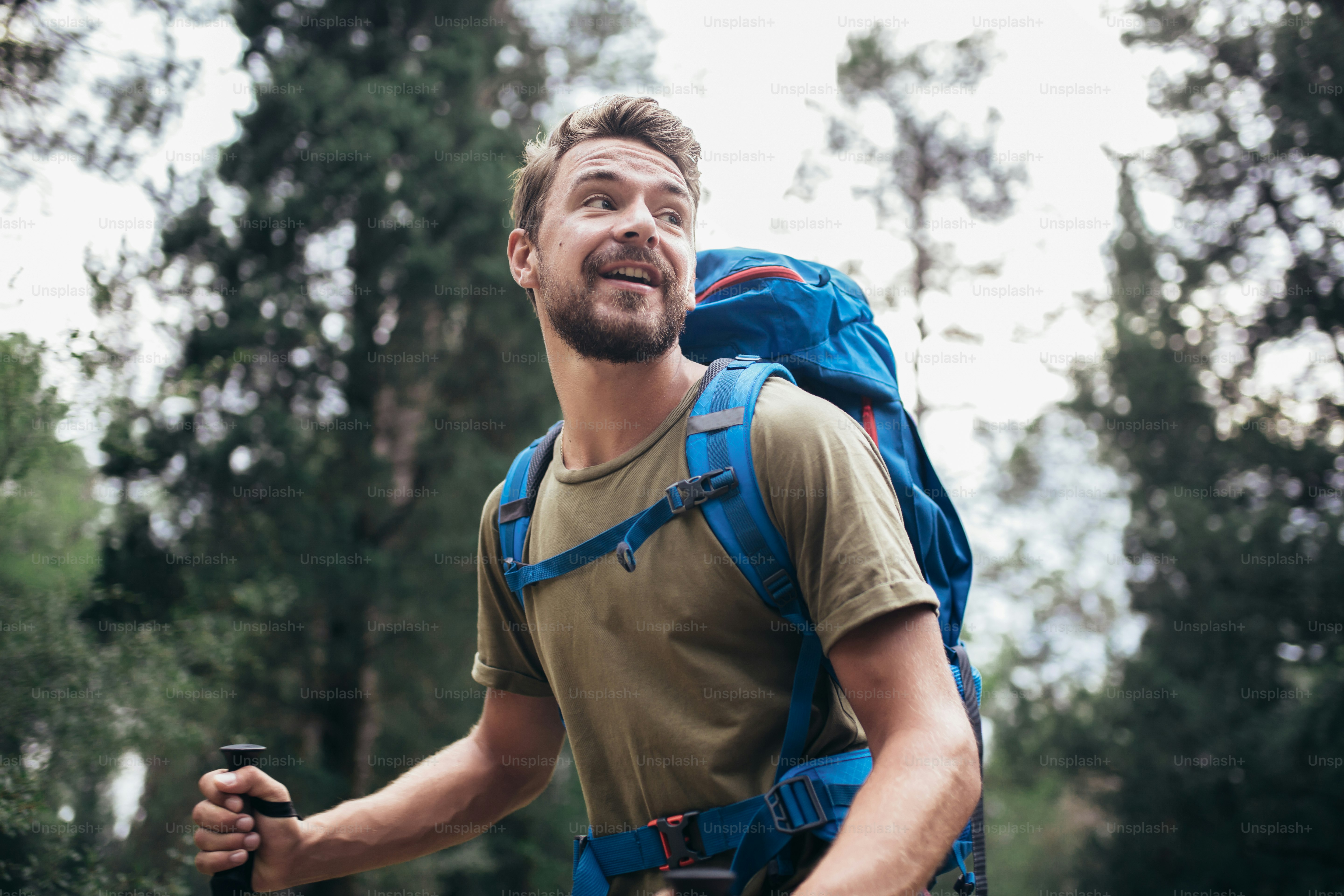 Hiker man with backpack walking in forest in summer. photo – Forest ...