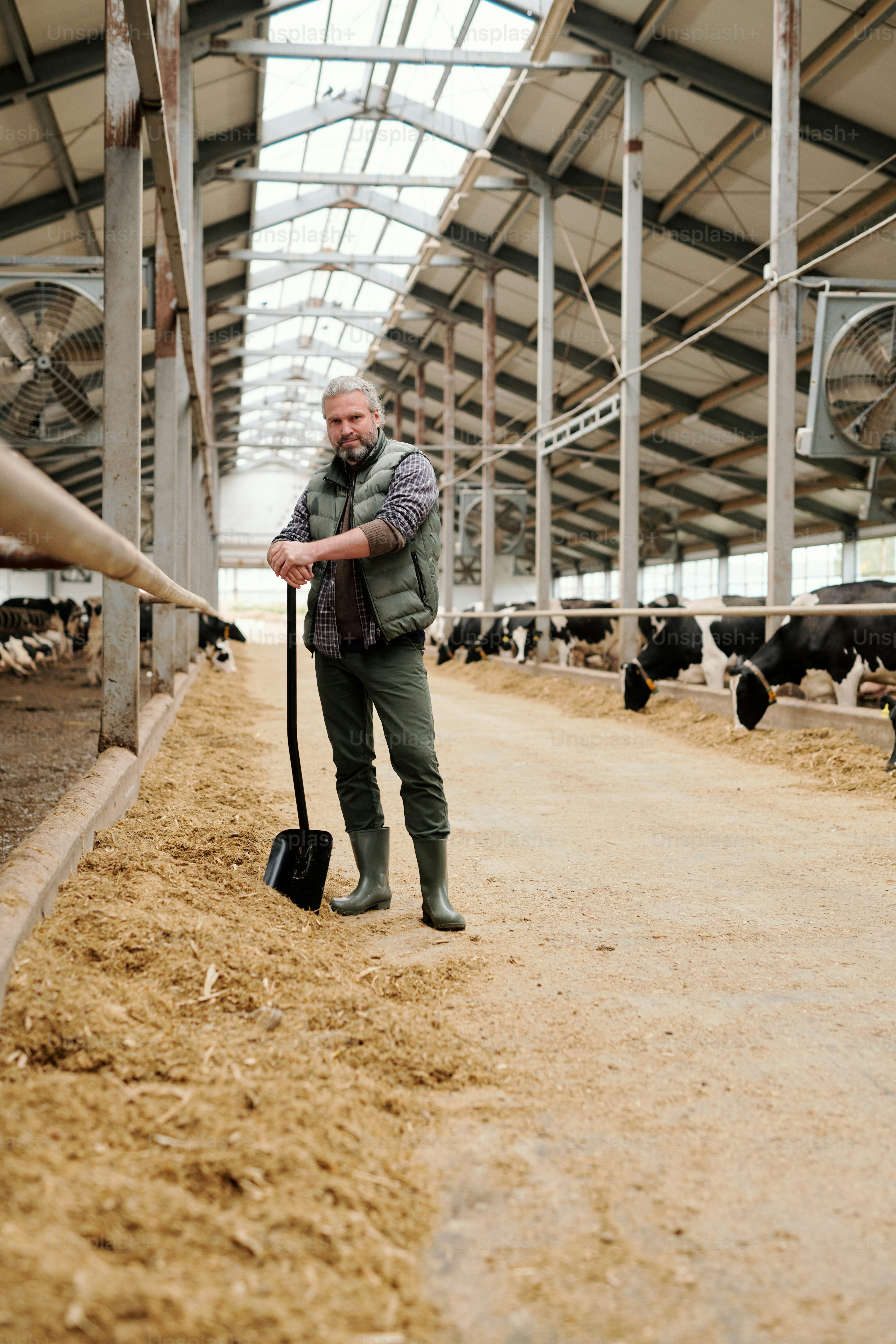 Portrait of skilled handsome farmer with gray beard standing with ...