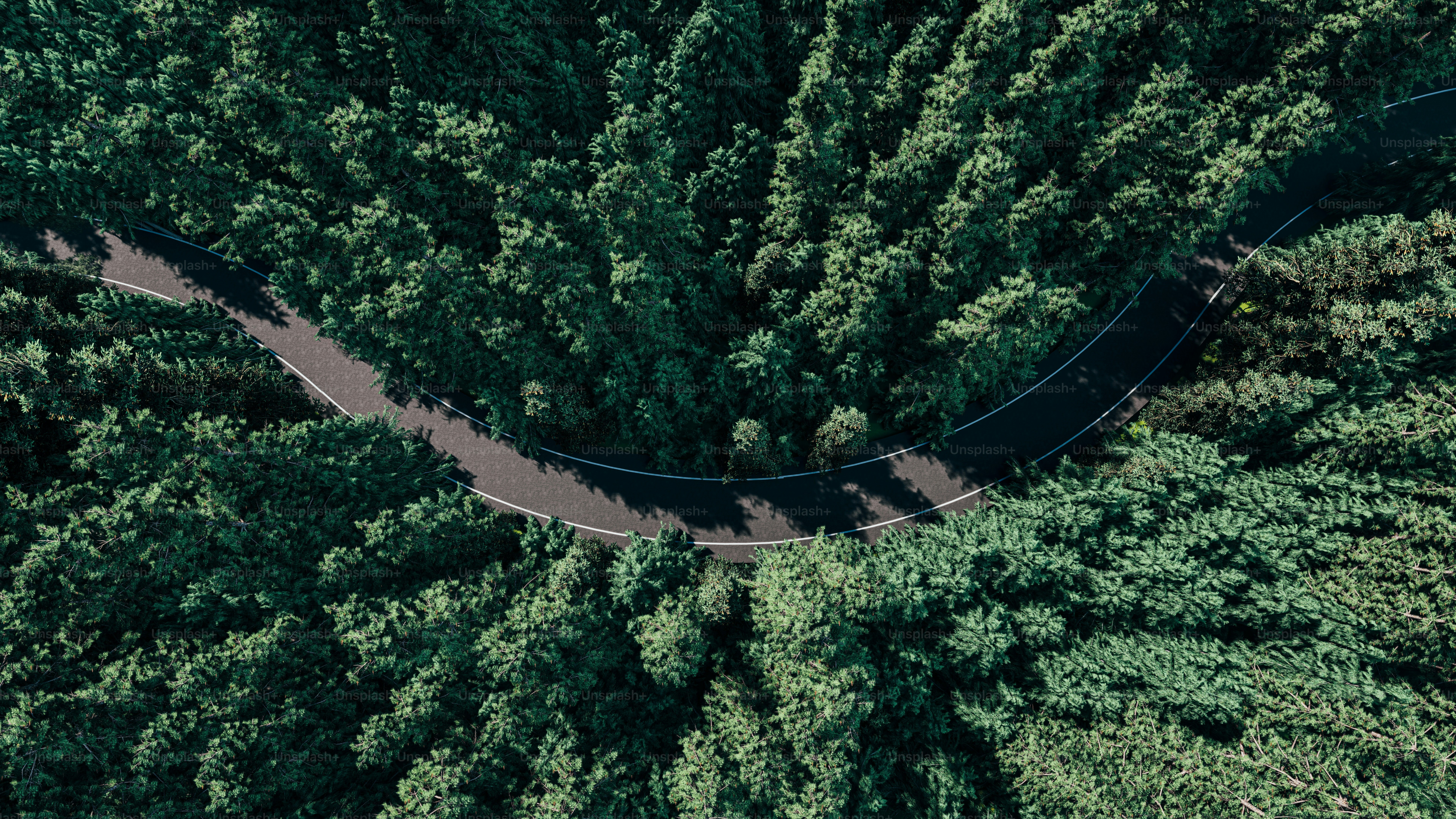 3d render image of aerial view of green forest photo – Car Image on ...