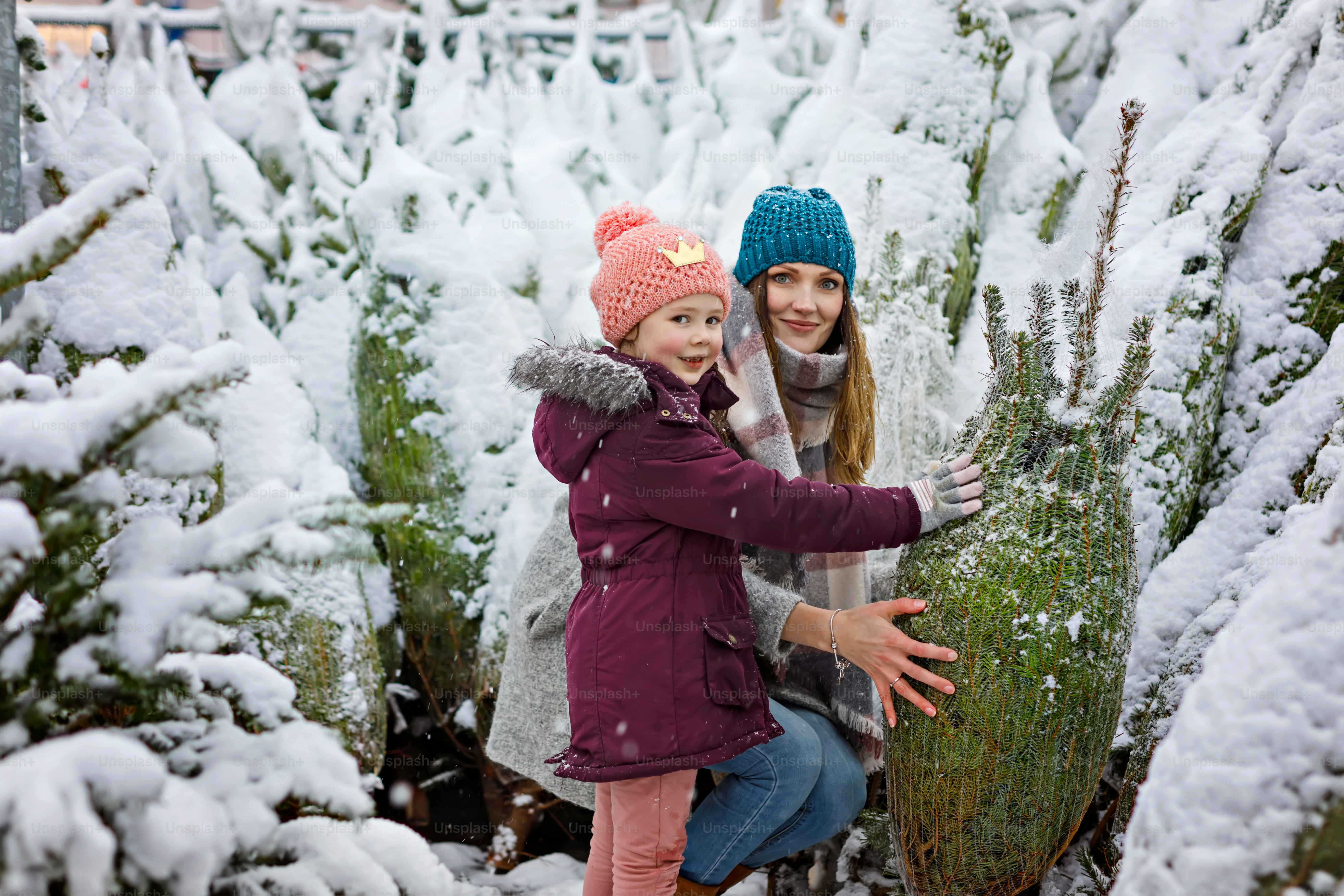 Snow Christmas Tree Pictures | Download Free Images on Unsplash