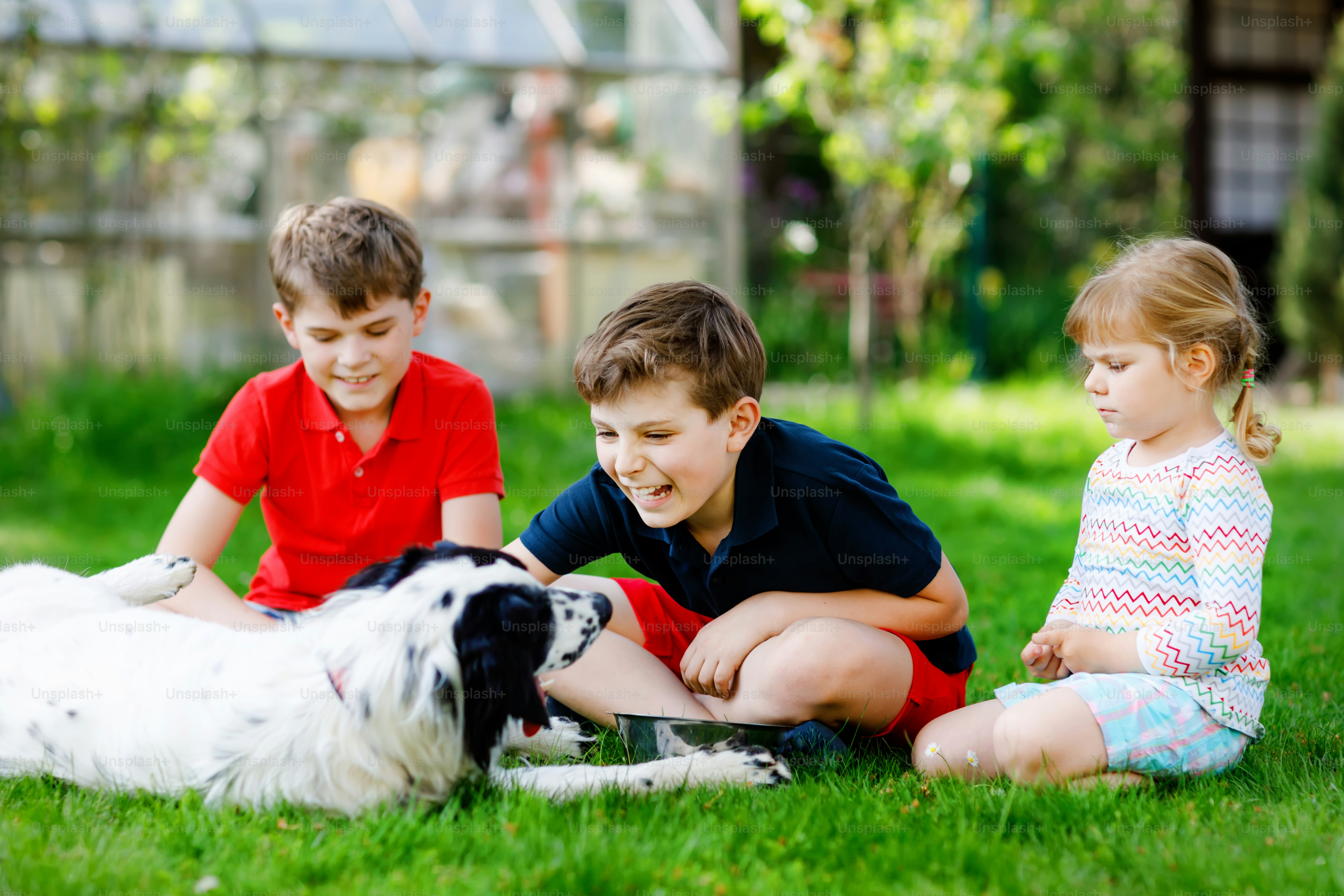Two kids boys and little toddler girl playing with family dog in garden ...