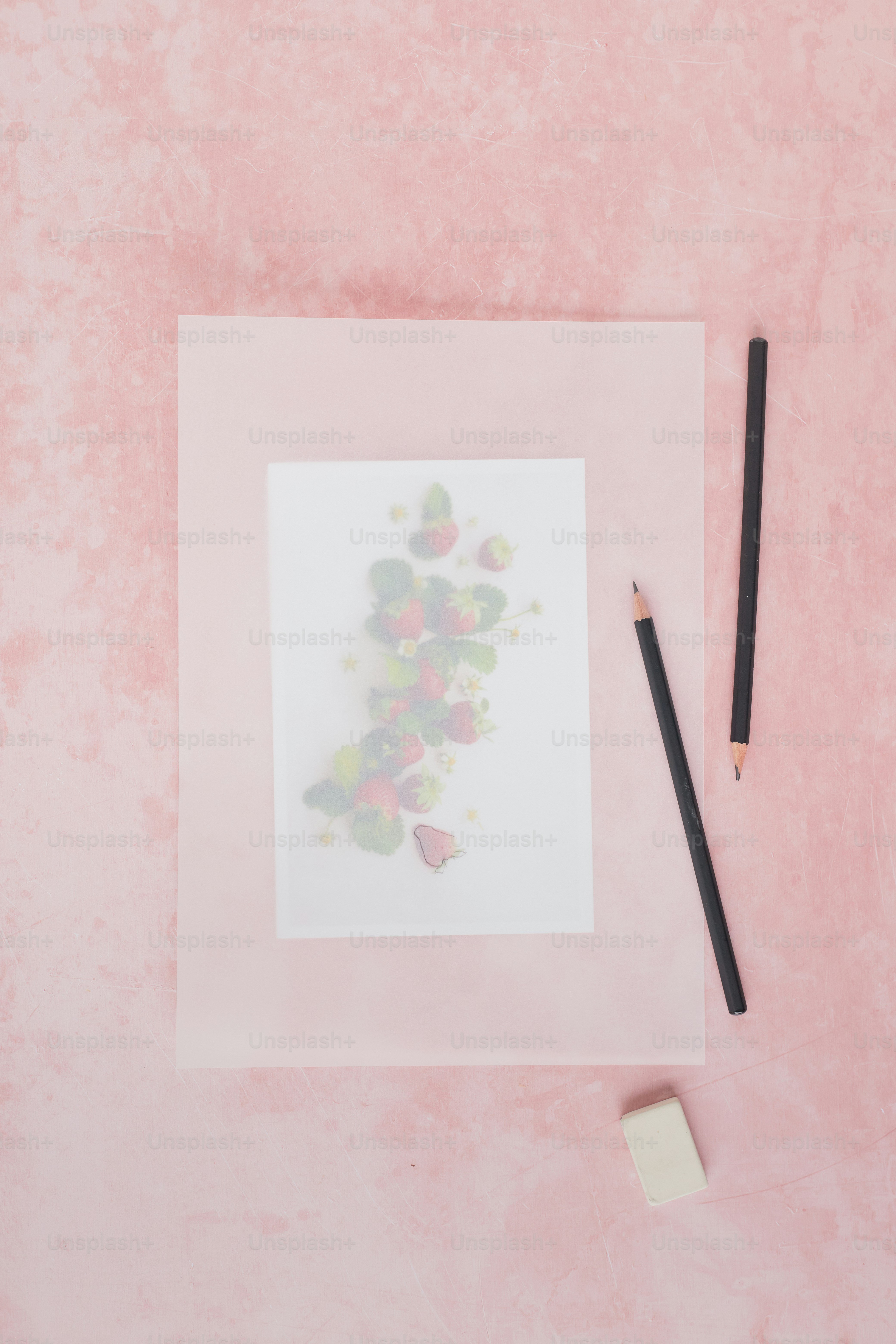 Tracing Paper Pictures | Download Free Images on Unsplash