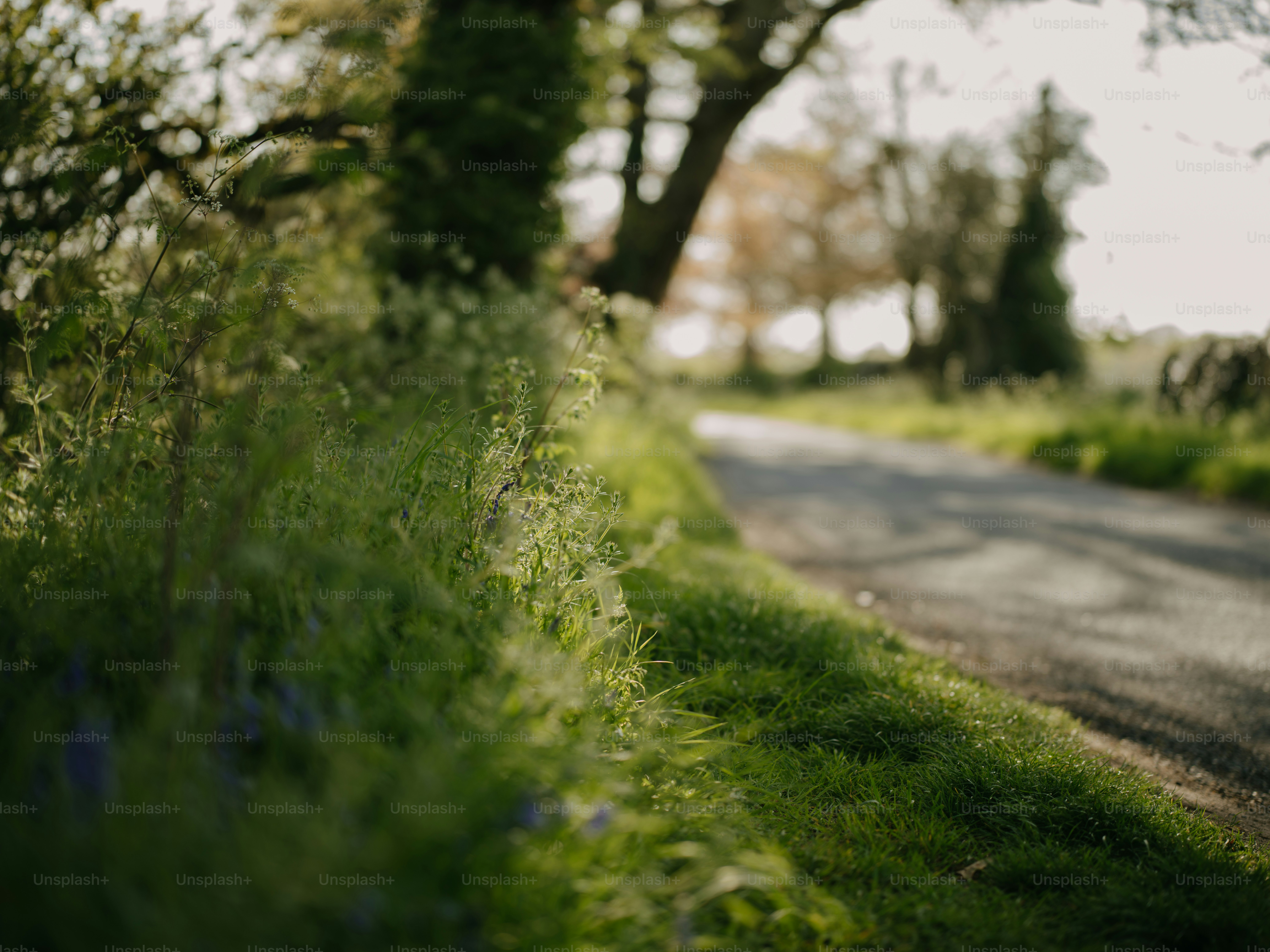 30k + Photos de bord de route | Télécharger des images gratuites sur ...