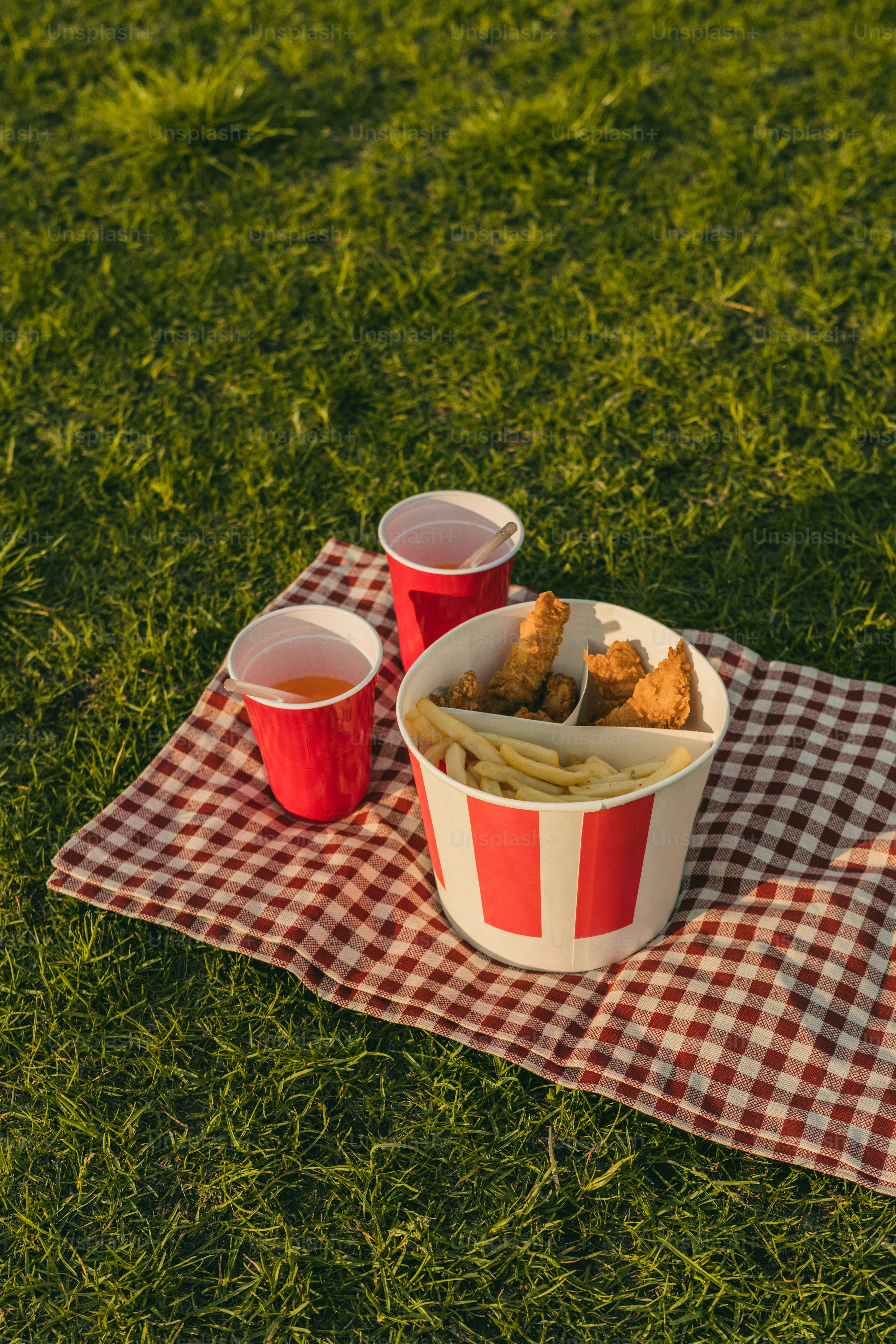 A picnic blanket with two cups of food on it photo – Take out Image on ...