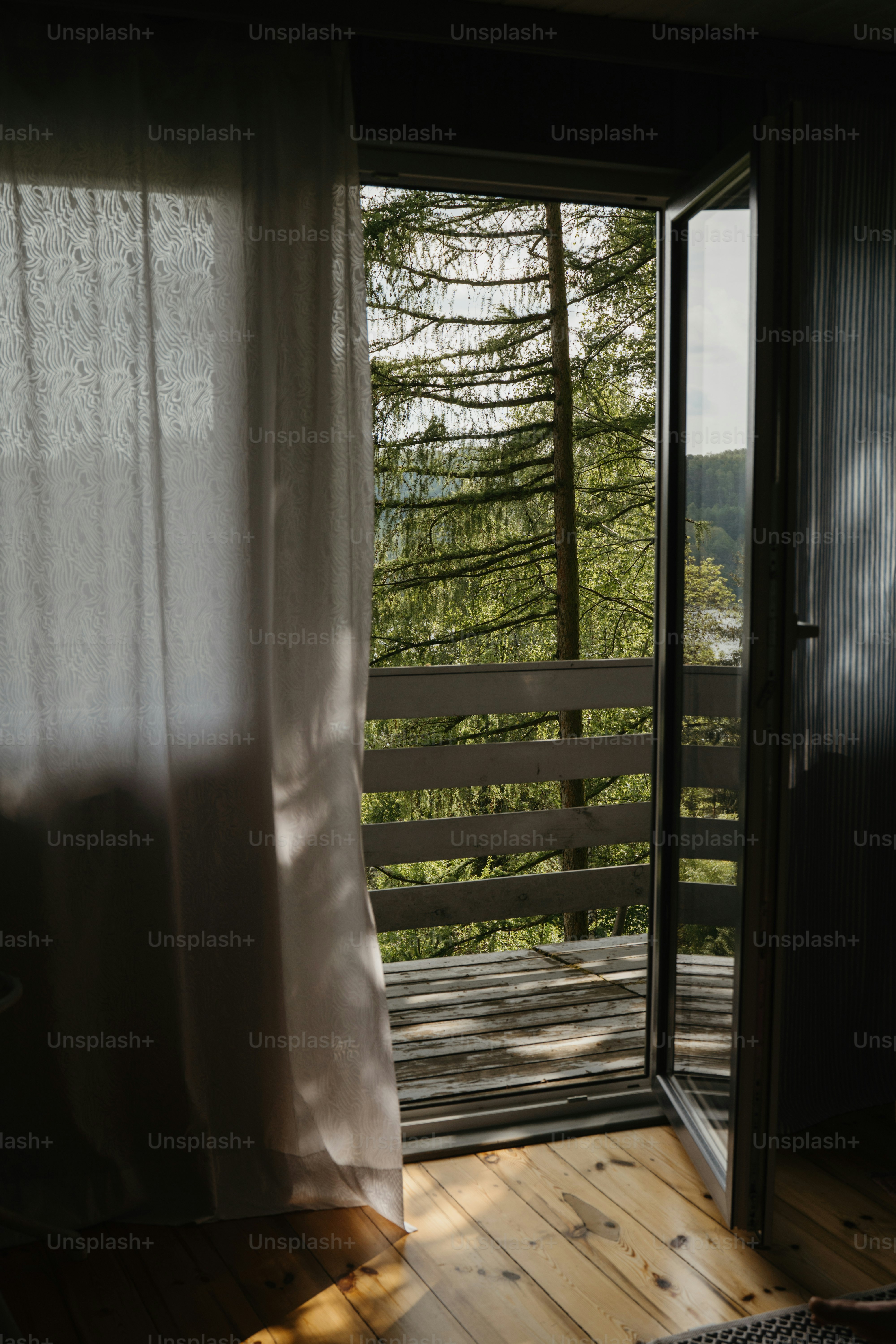 A window with a view of a forest outside photo – Curtain Image on Unsplash