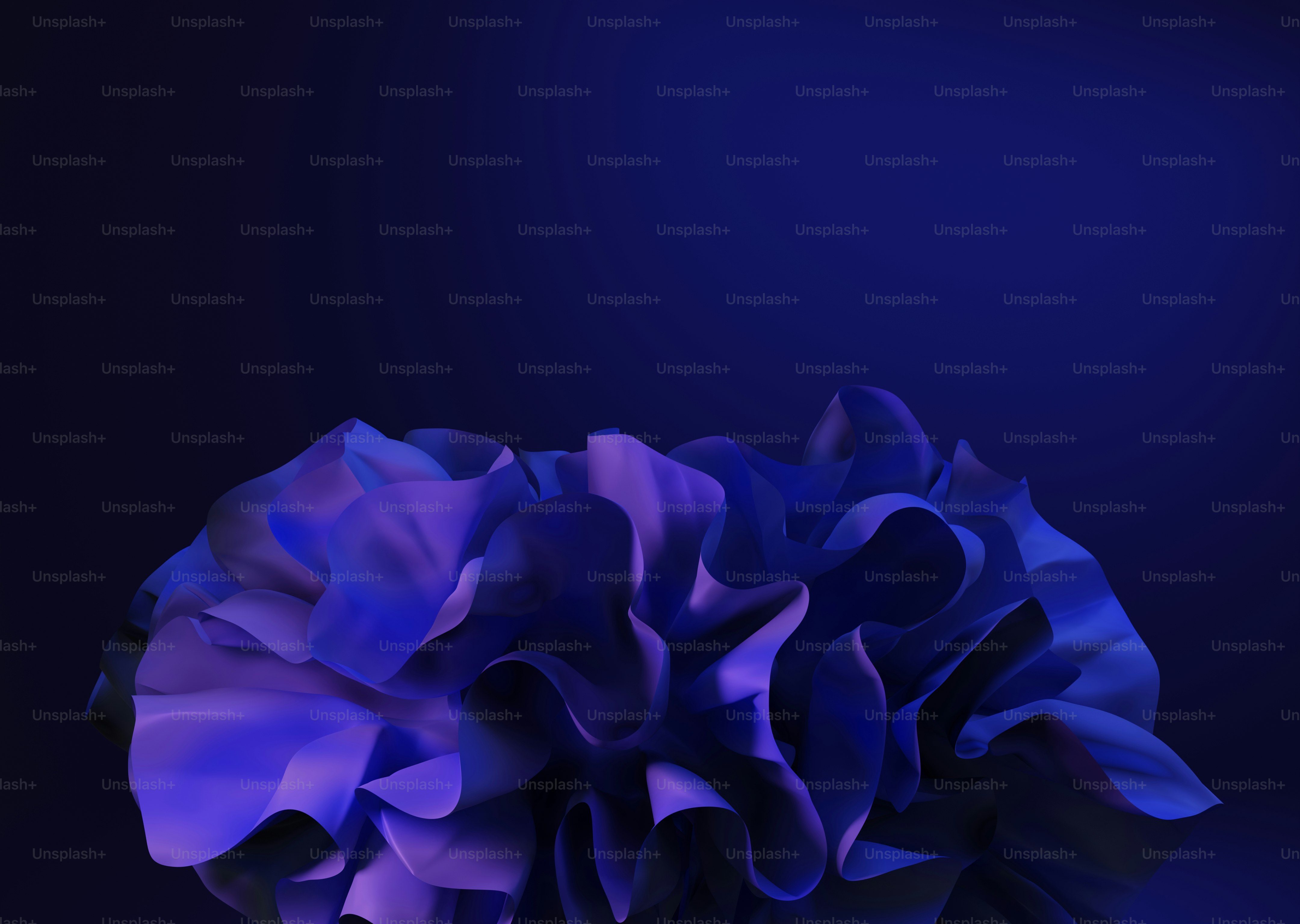 Flower Vector Pictures | Download Free Images on Unsplash