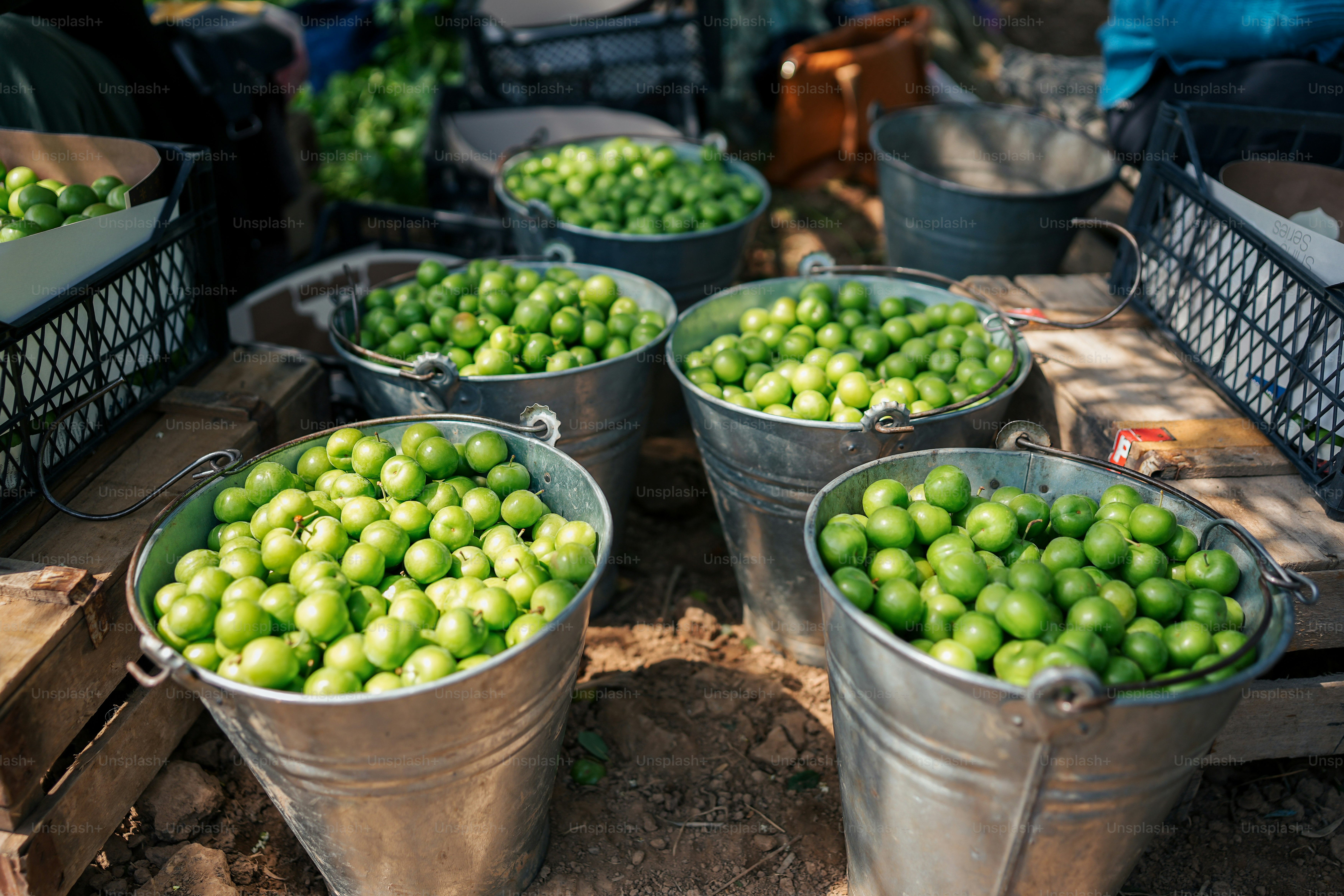 Trade Fair Pictures | Download Free Images on Unsplash