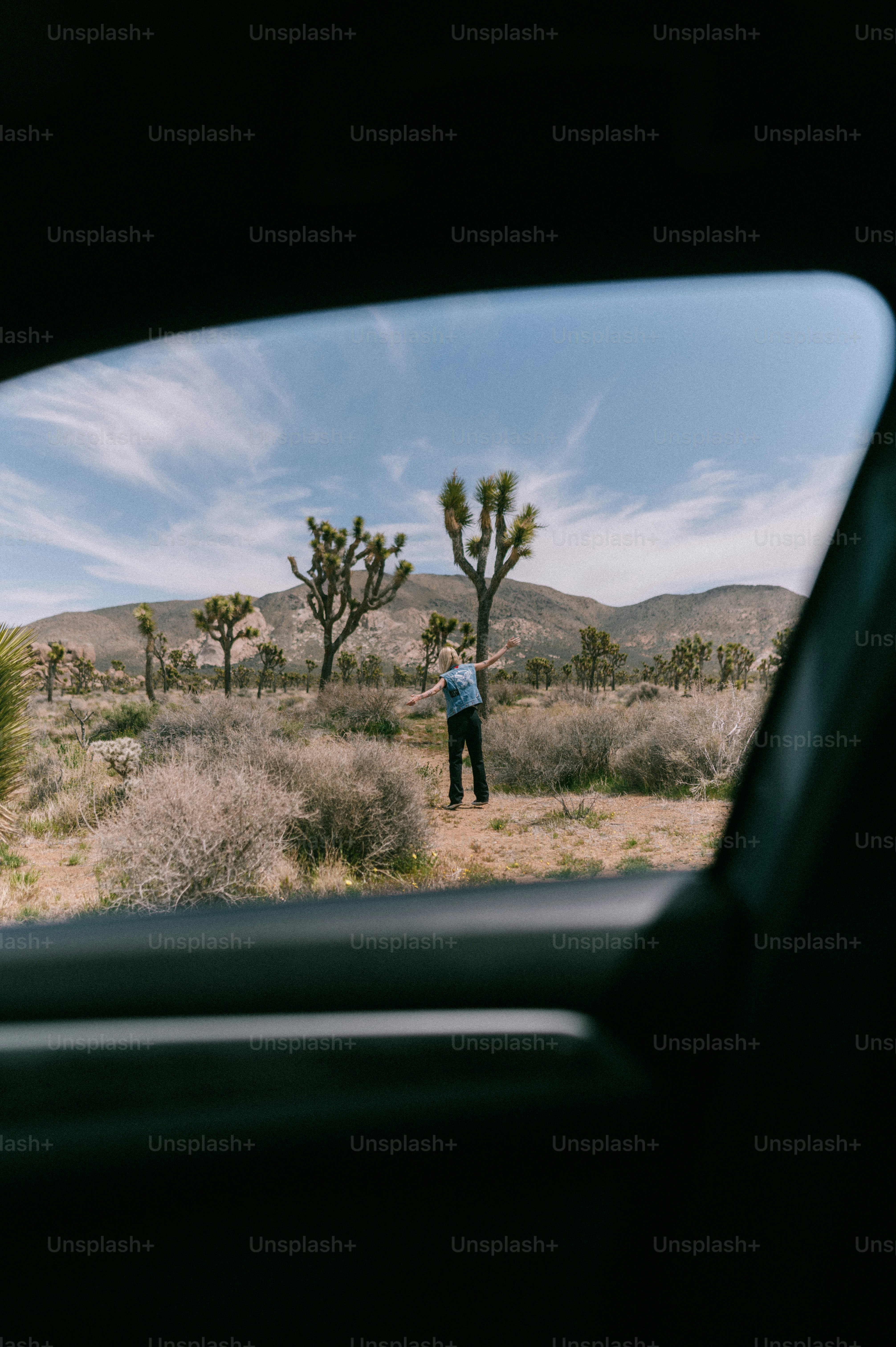 A man standing in a field next to a cactus photo – Driving Image on ...