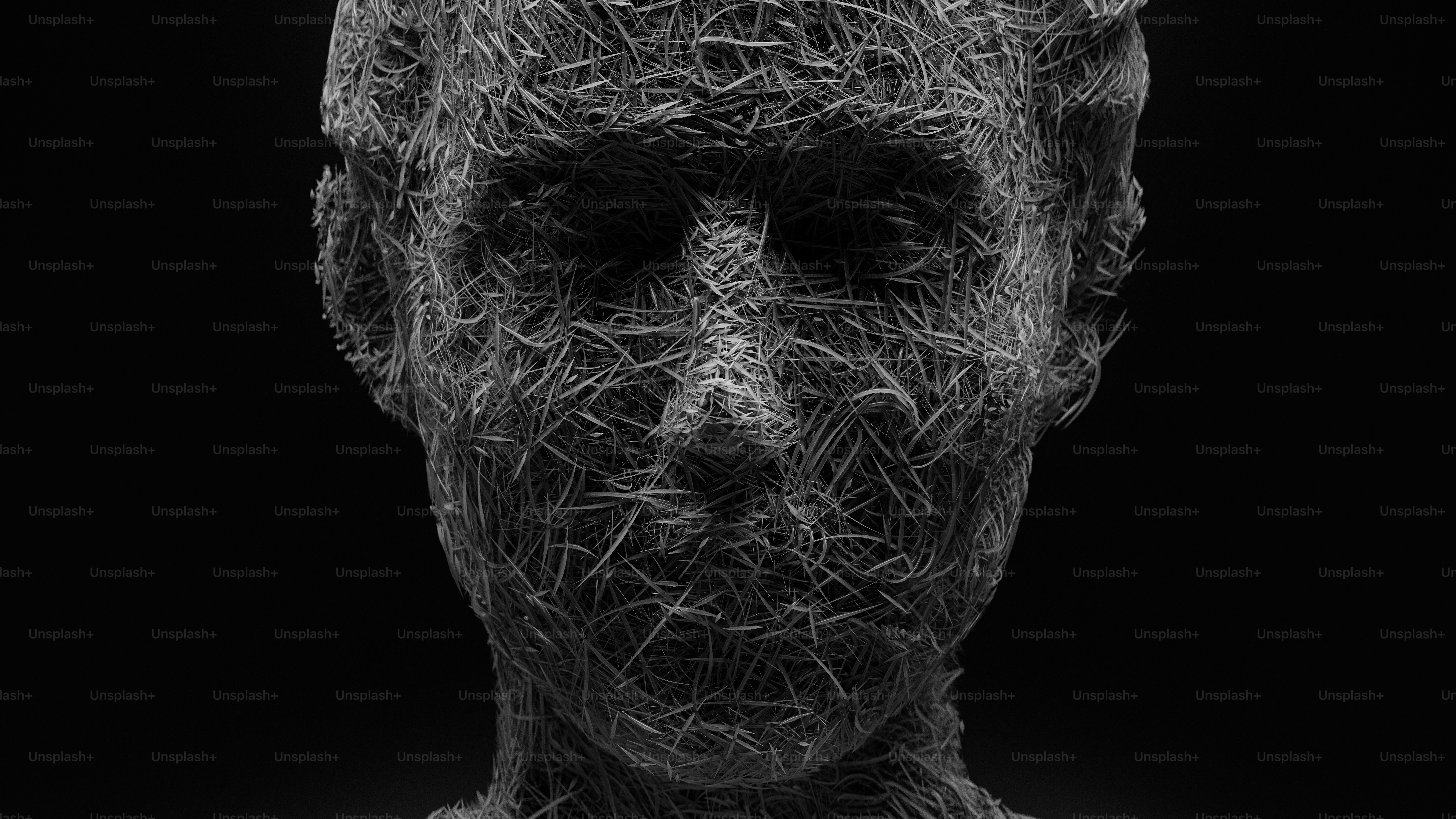 999+ Black And White Face Pictures | Download Free Images on Unsplash