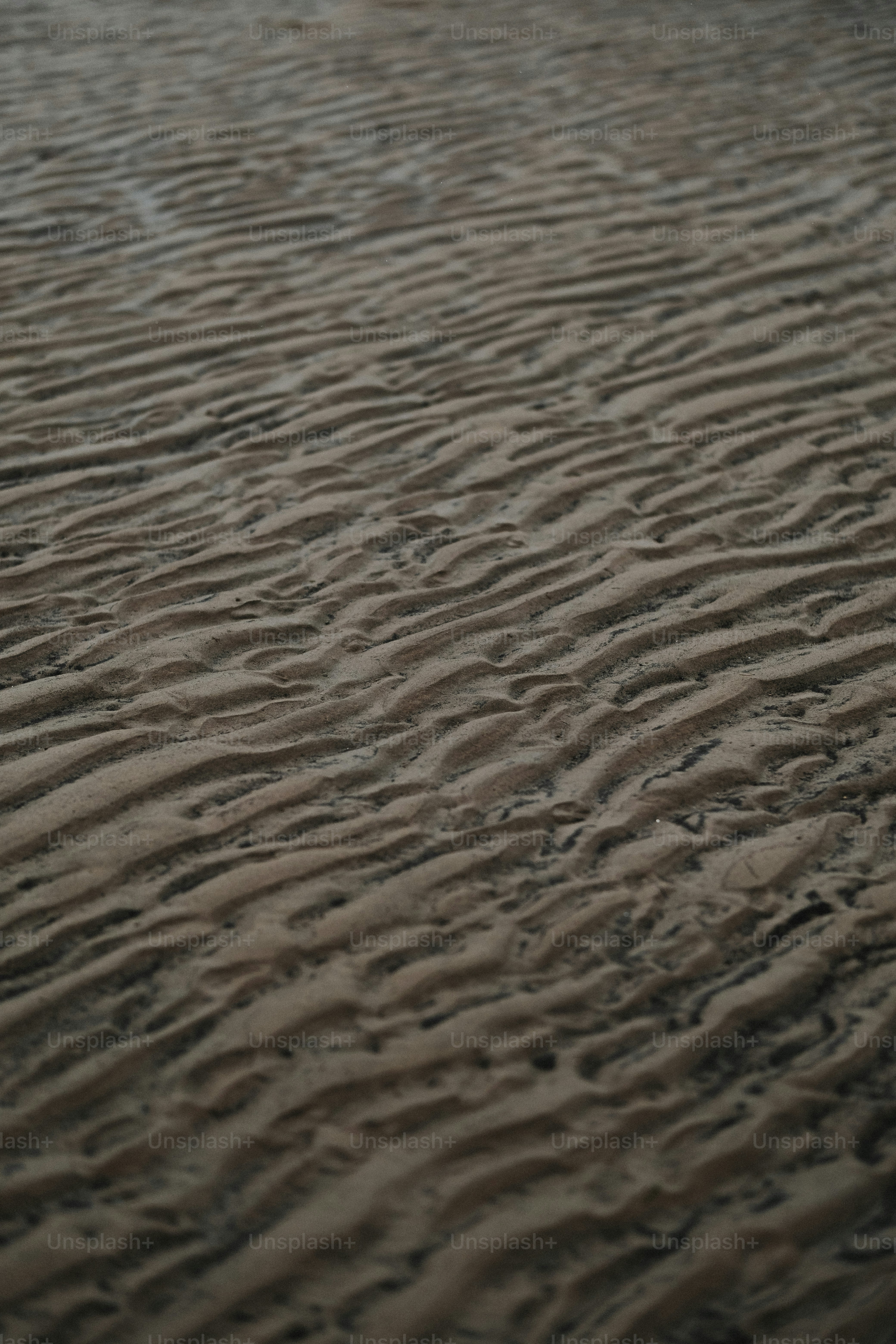 A sandy beach covered in lots of sand photo – Sand Image on Unsplash