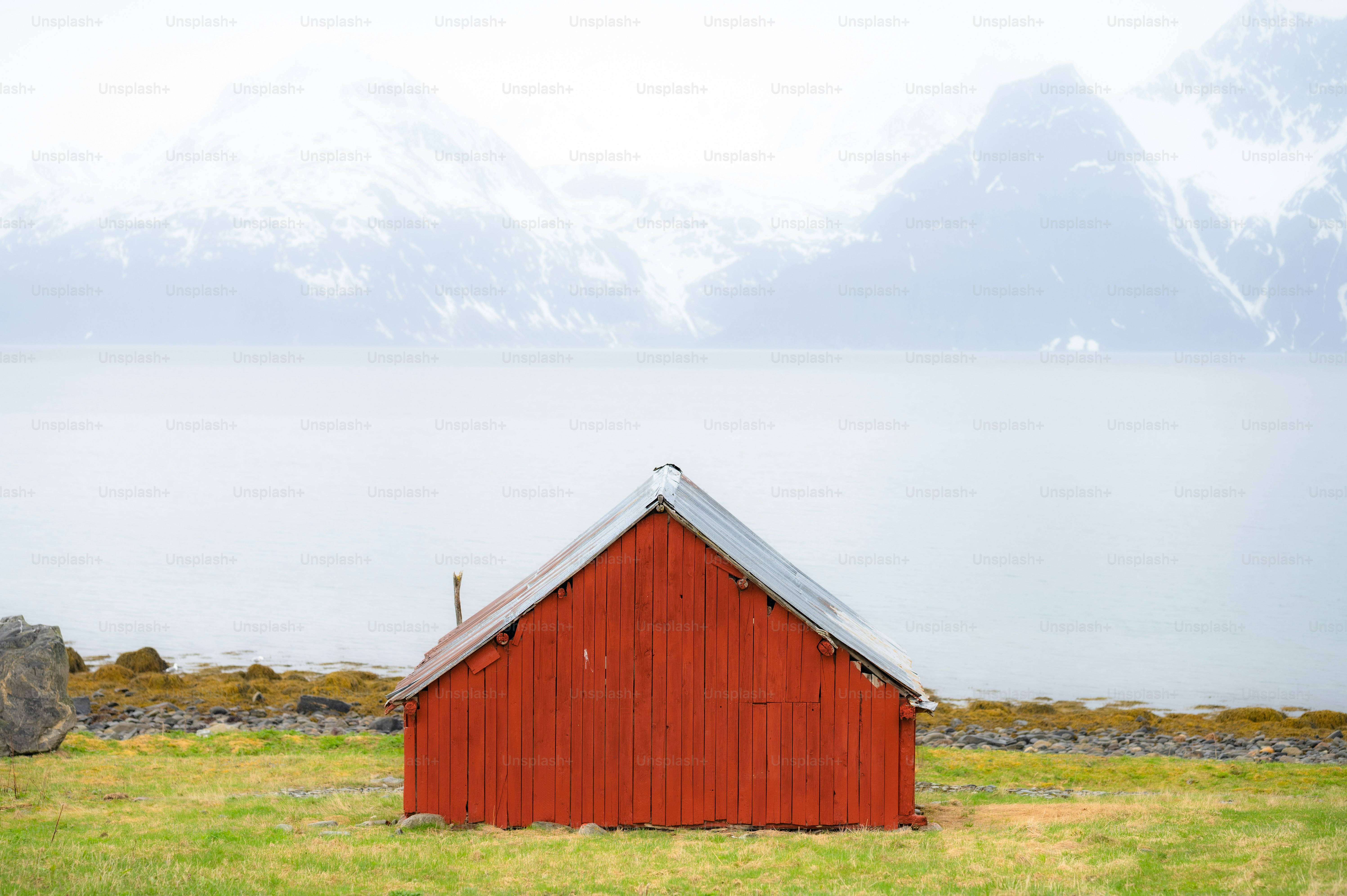 Imágenes de Resguardo | Descarga imágenes gratuitas en Unsplash