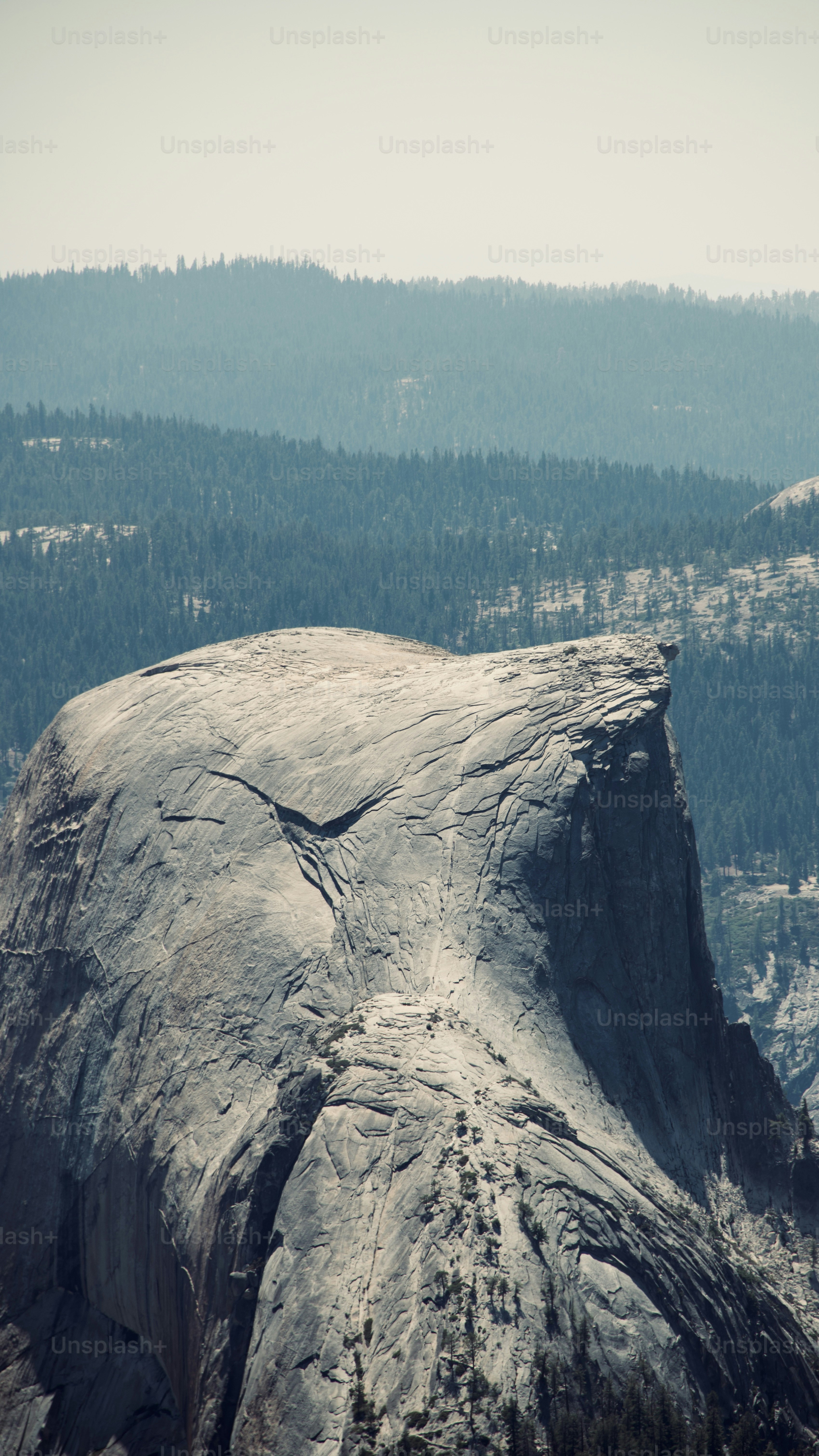 A large rock in the middle of a forest photo – California Image on Unsplash