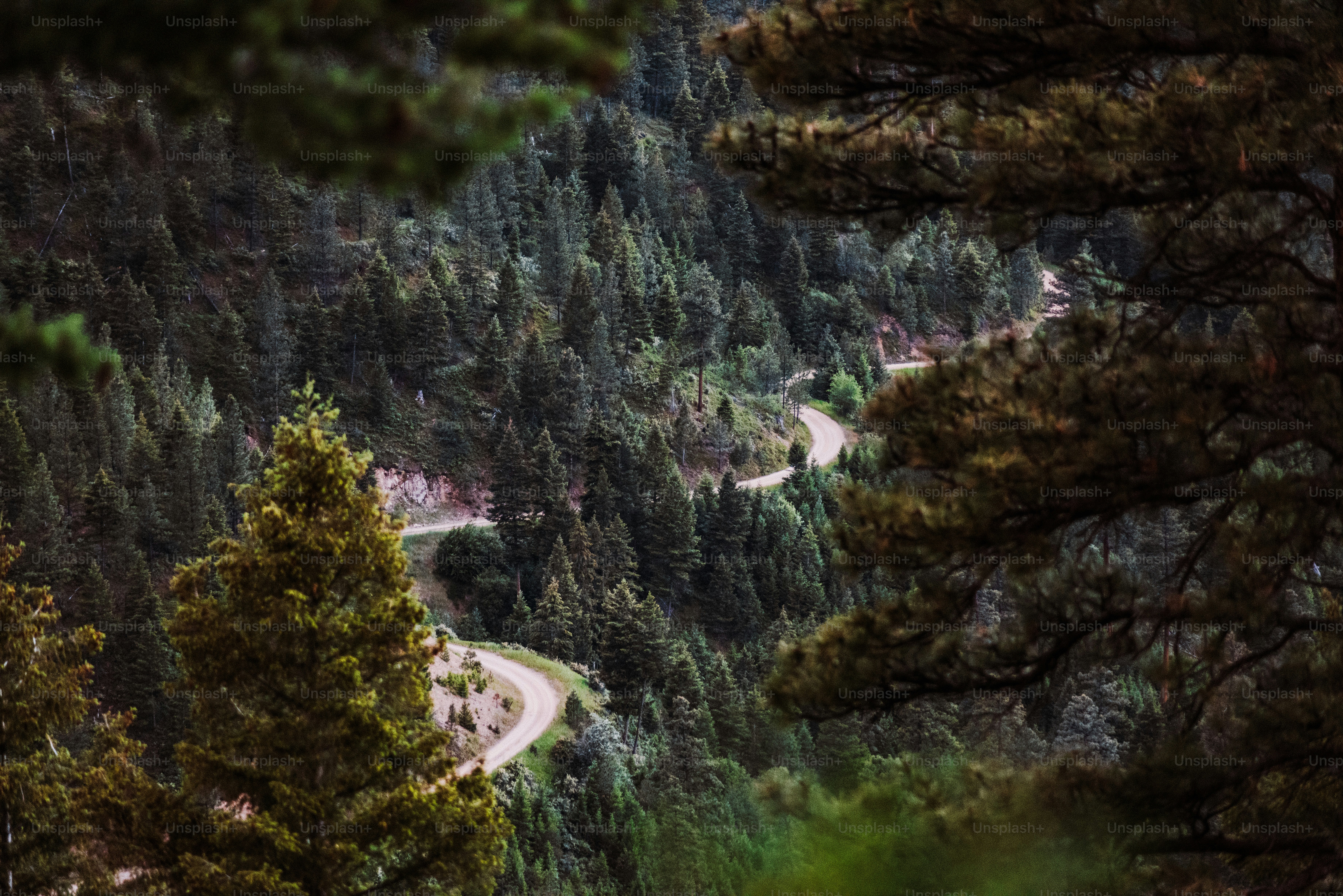 Mountain Track Pictures | Download Free Images on Unsplash