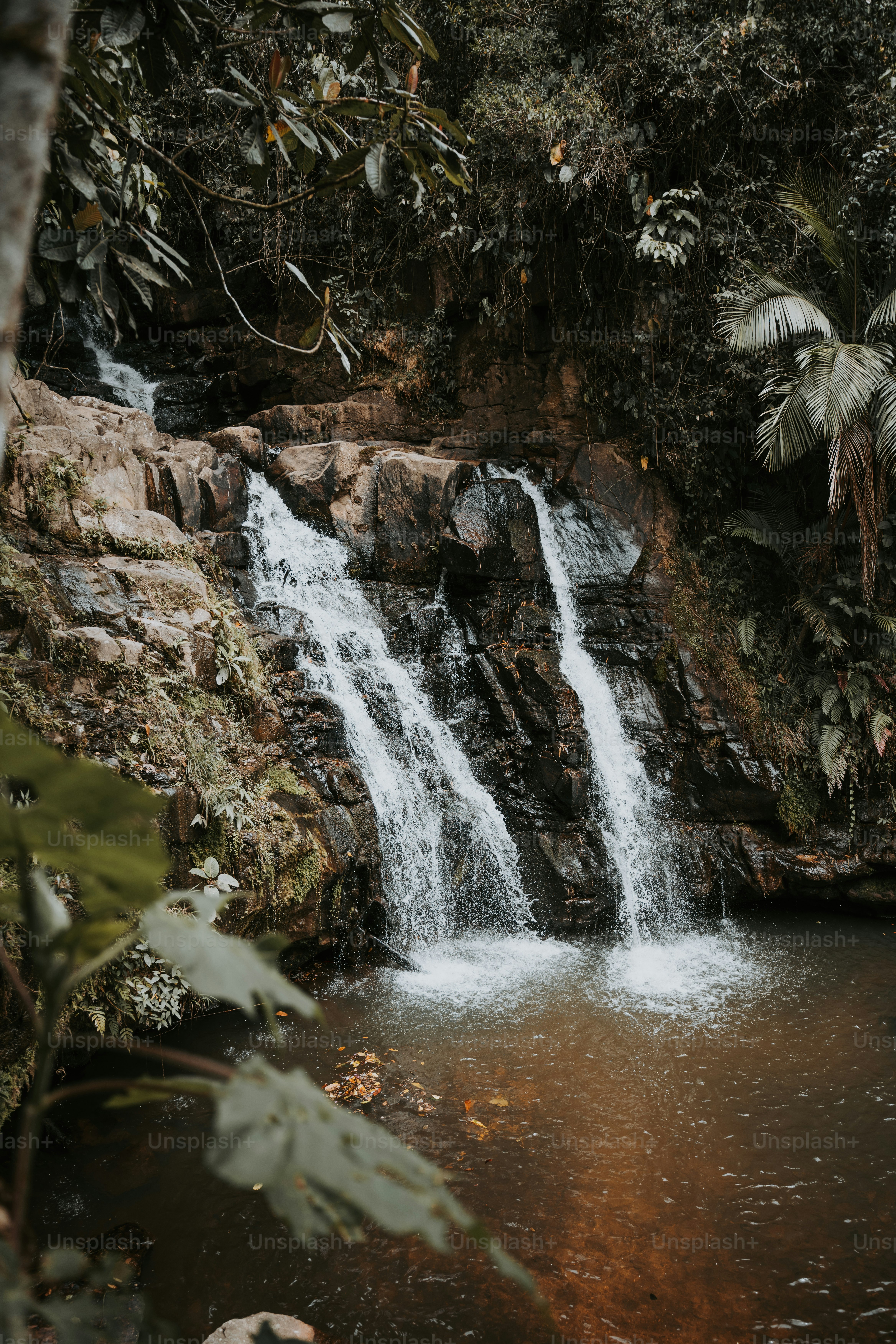 A small waterfall in the middle of a jungle photo – Wallpaper Image on ...