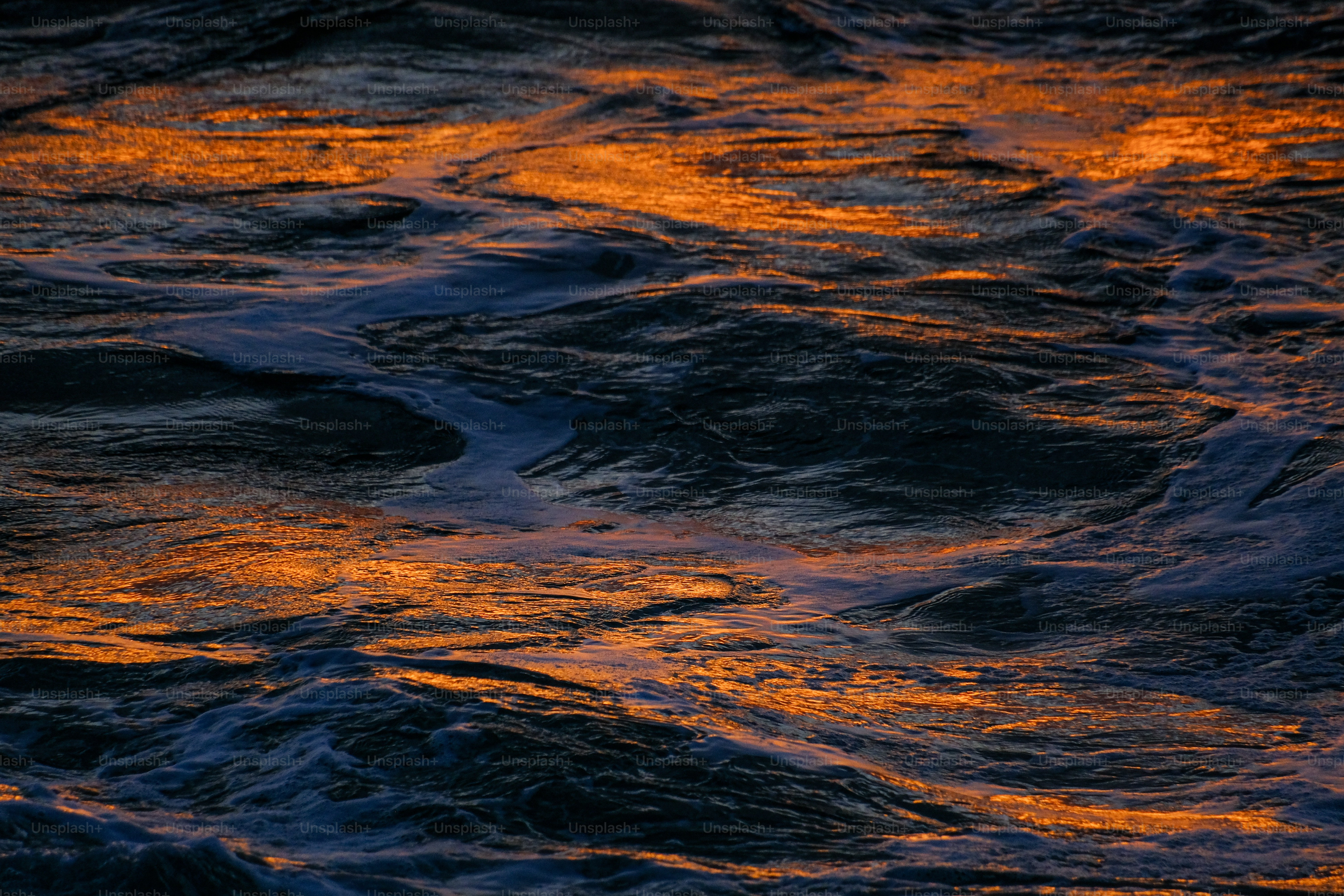 100+ Moonlight Pictures | Download Free Images on Unsplash