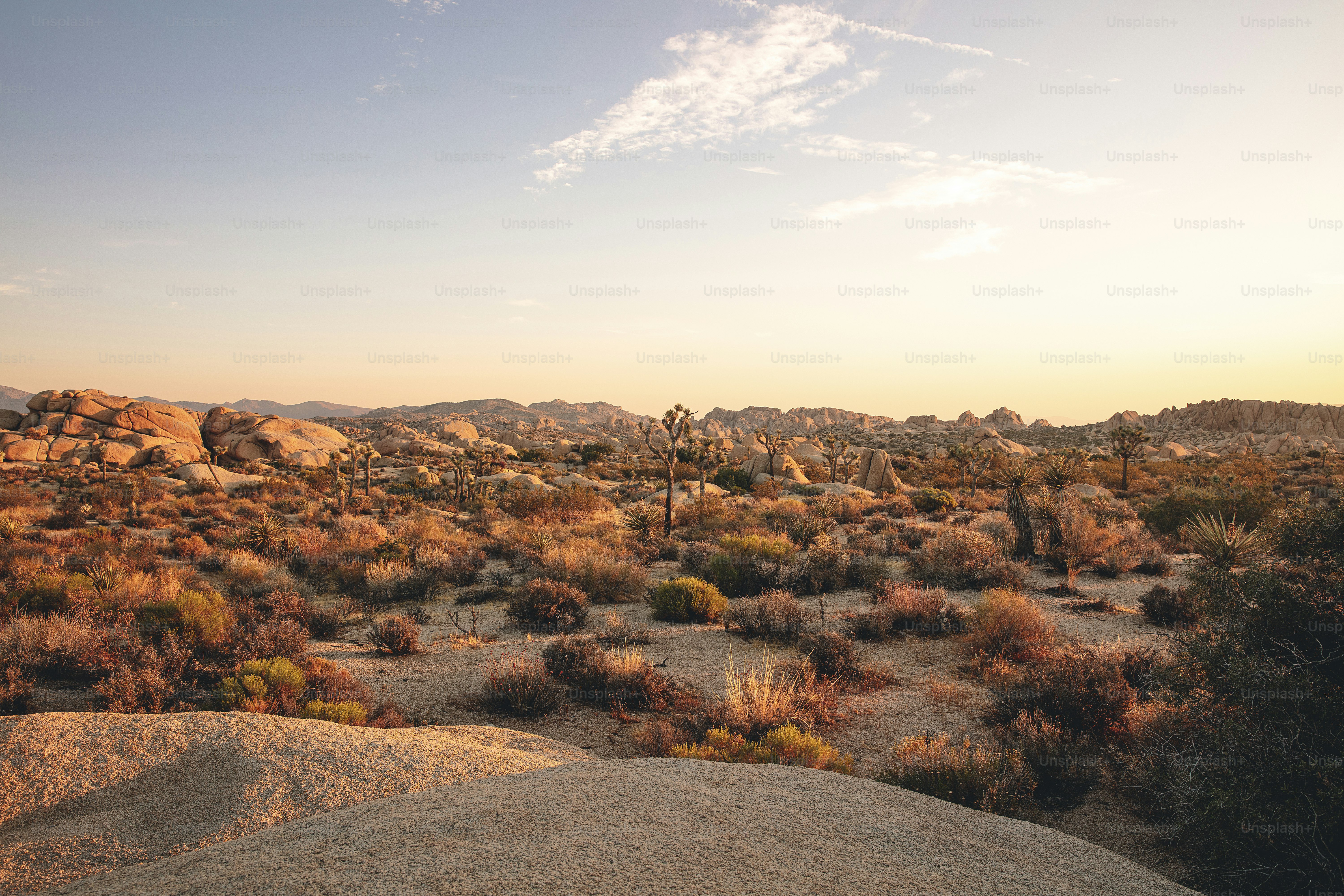 A desert landscape with rocks and bushes photo – Desert Image on Unsplash