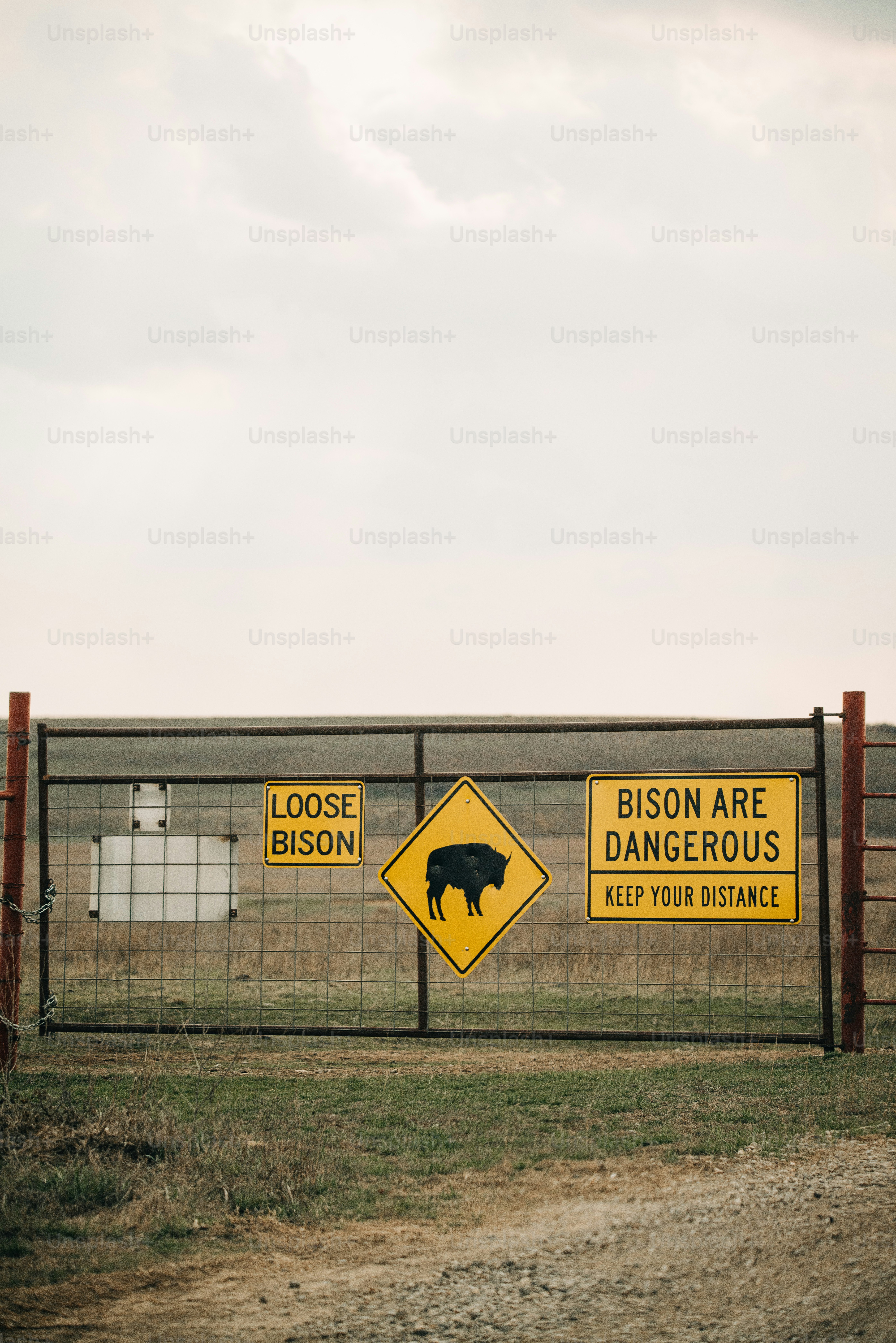 A fence with a sign that says bison are dangerous photo – Usa Image on ...