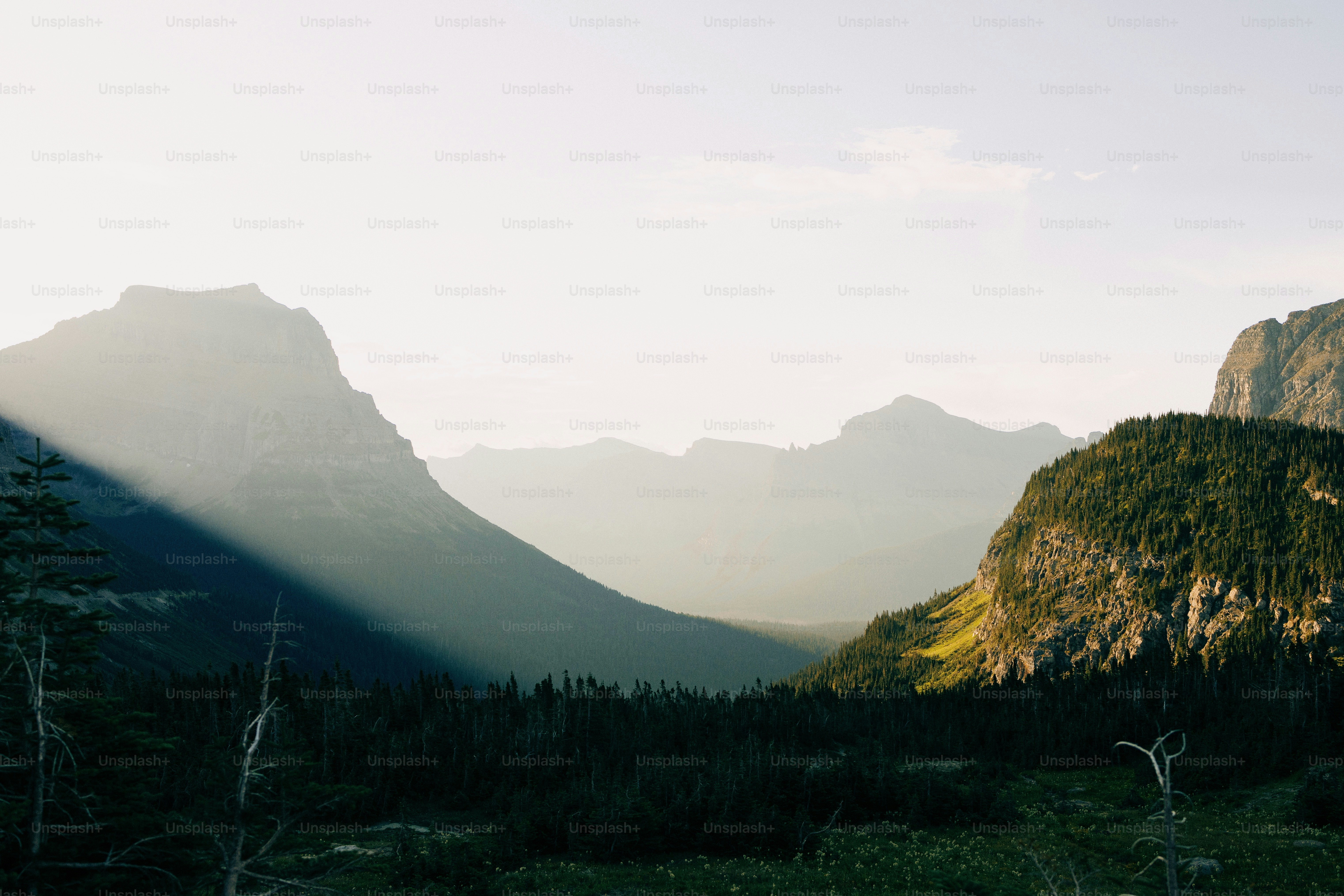 A scenic view of a mountain range with trees in the foreground photo ...