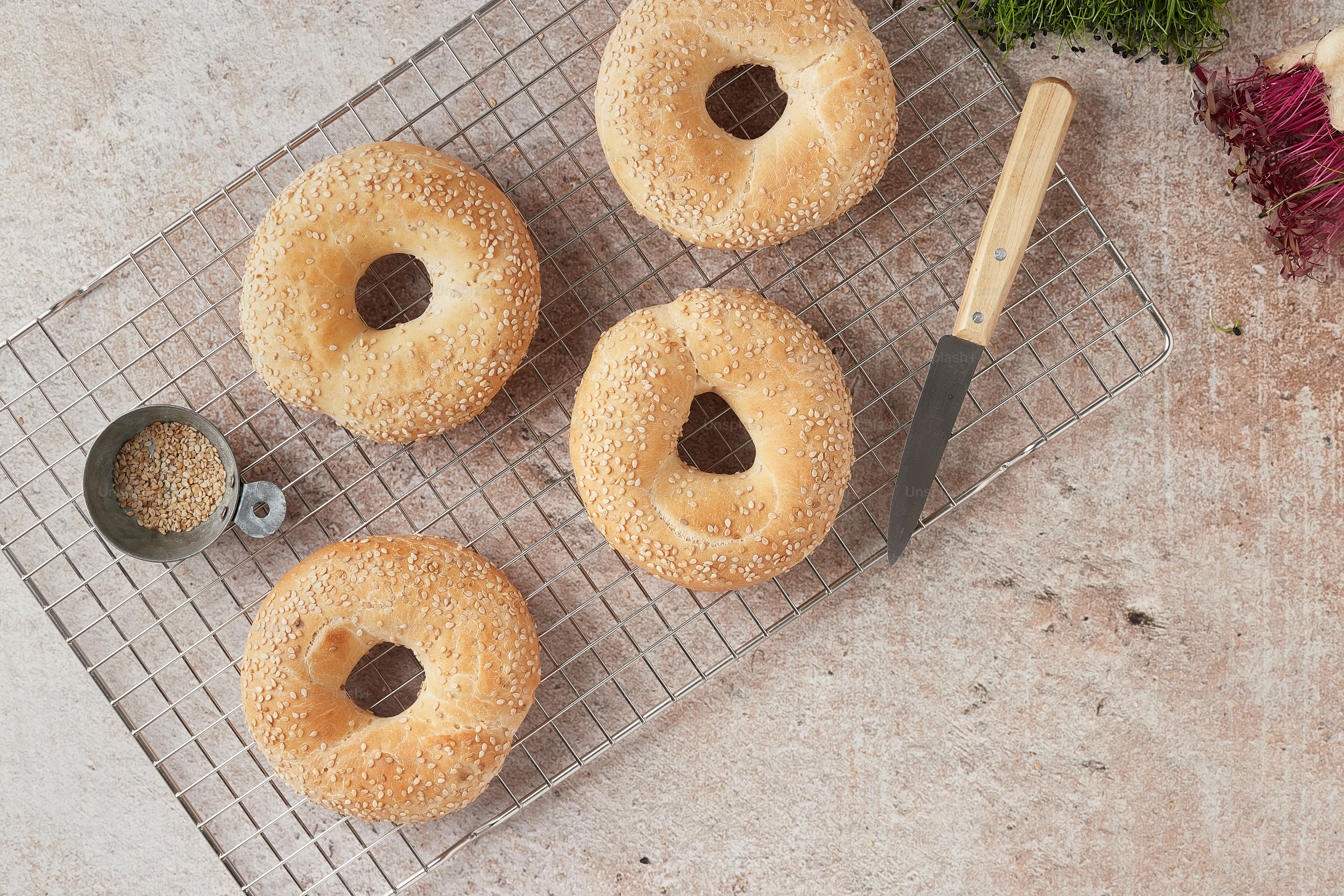Four bagels on a cooling rack with a knife photo – Bagel sandwich Image ...